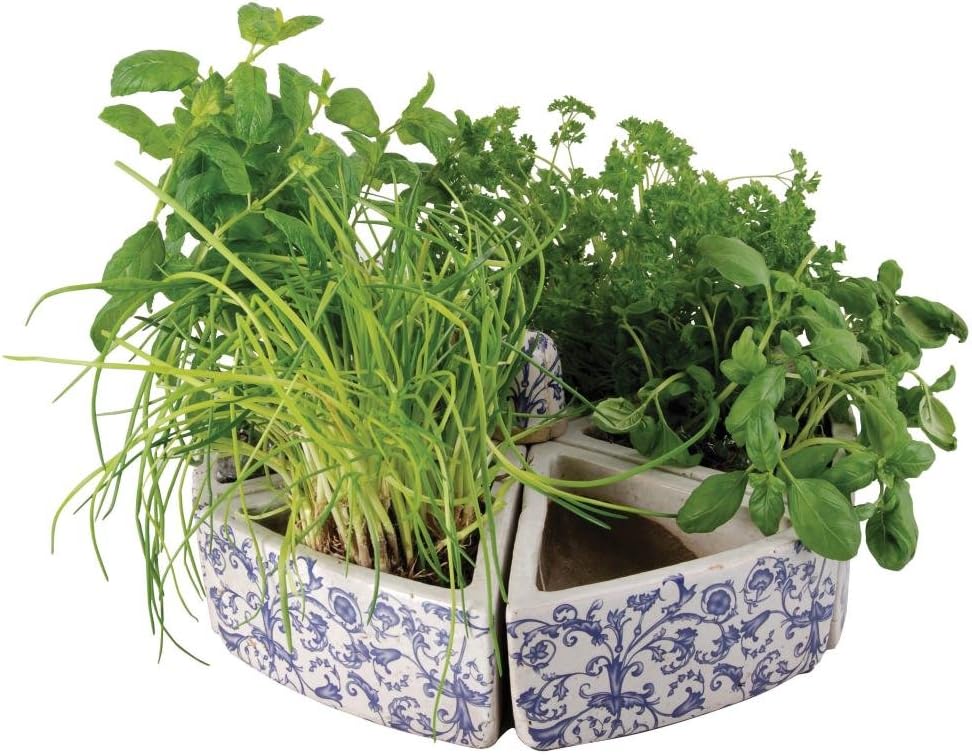 Amazon.com : Esschert Design USA Aged Ceramic Victorian Herb Garden ...