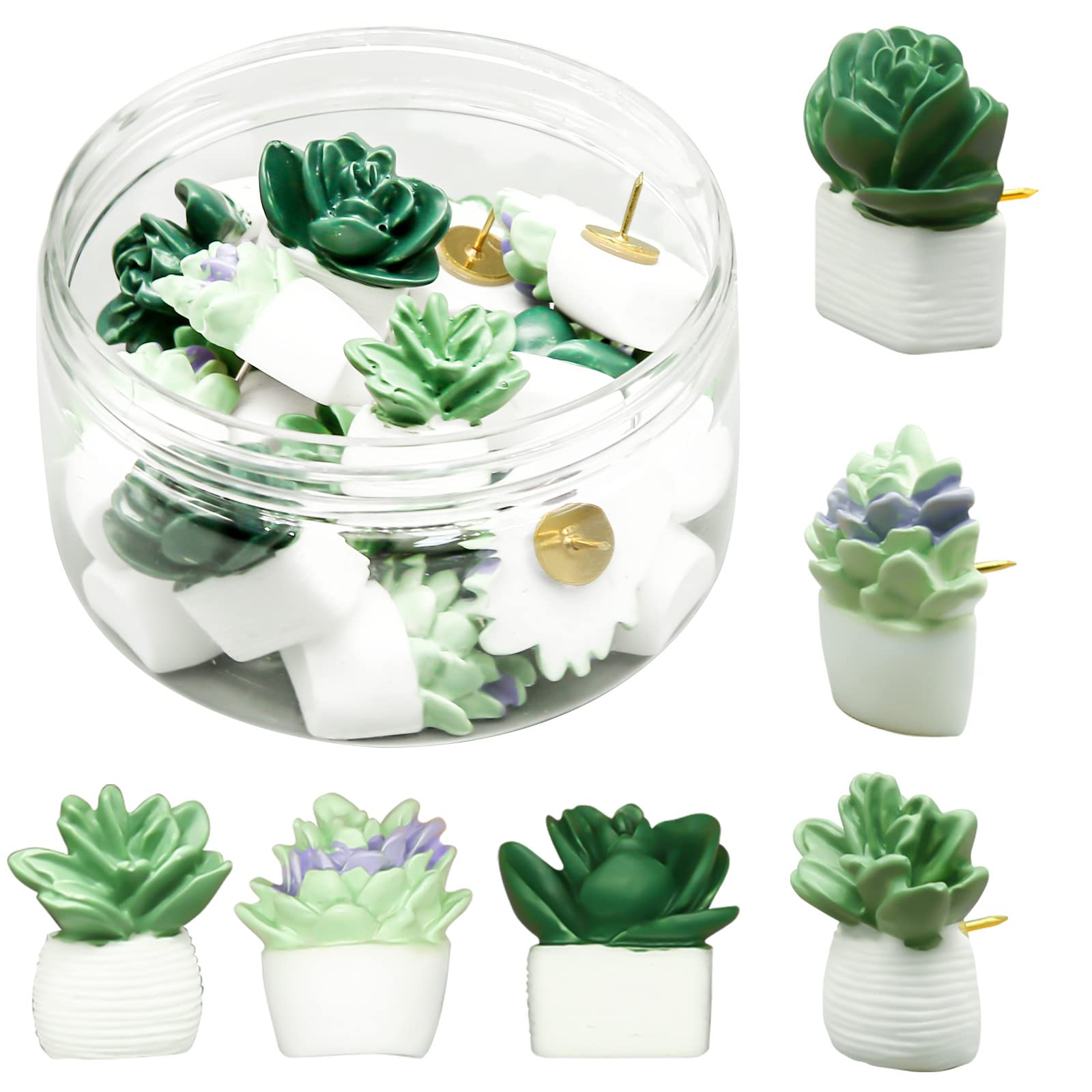 Amazon.com: 20 Pcs Decorative Push Pins Succulent Push Pins Set ...
