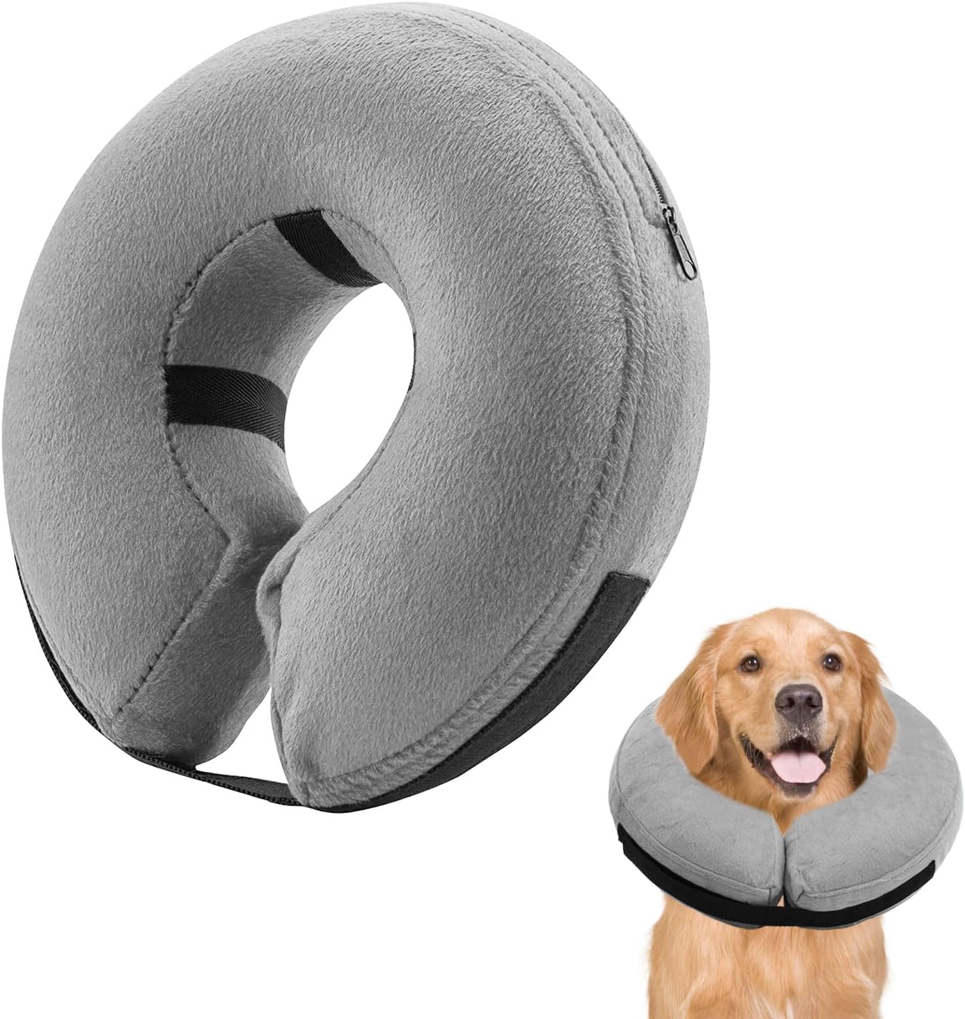 Collar Inflable de Recuperación, Collar Isabelino Perro, Collares ...