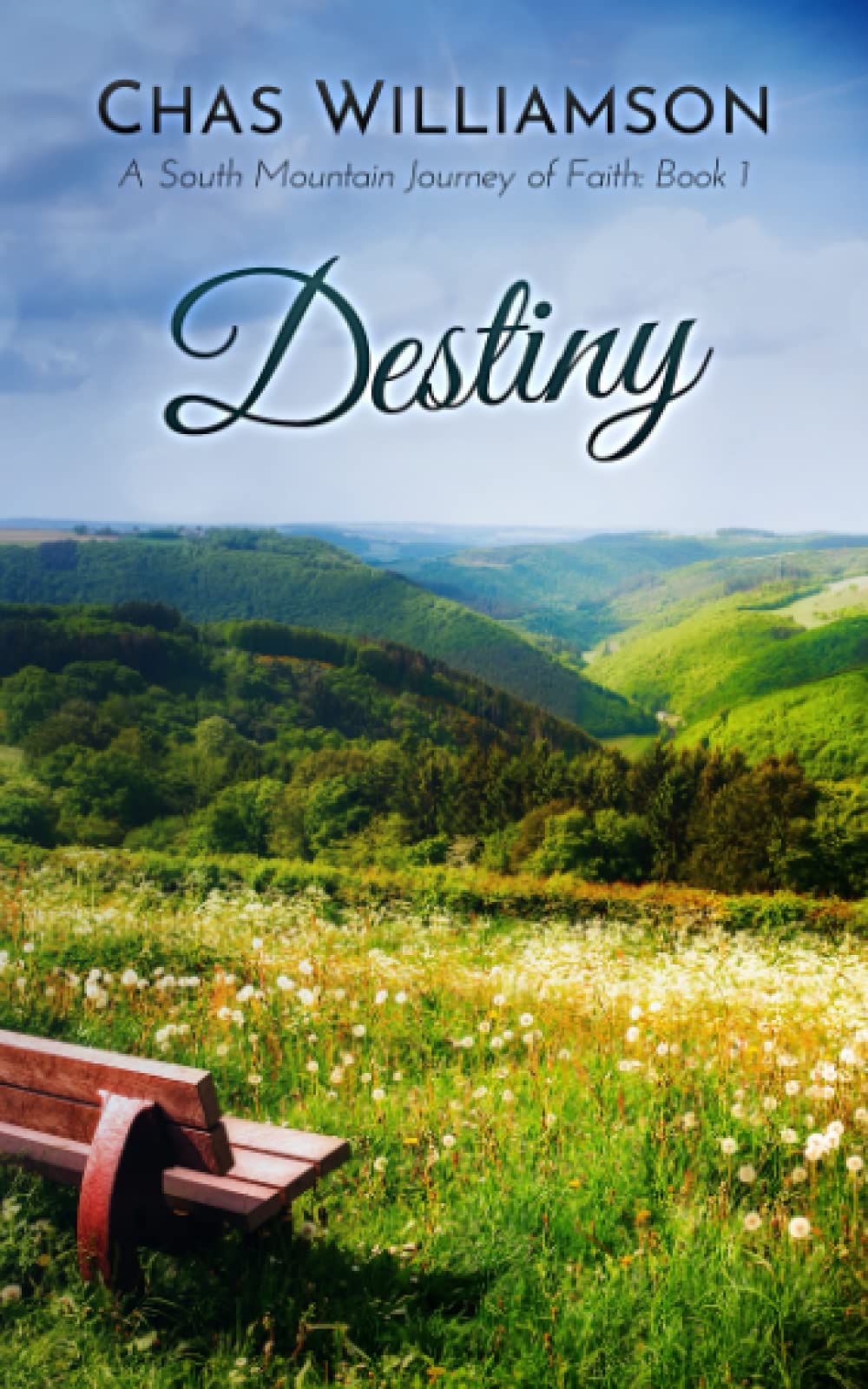 Destiny: A South Mountain Journey of Faith-Book 1 (South Mountain ...