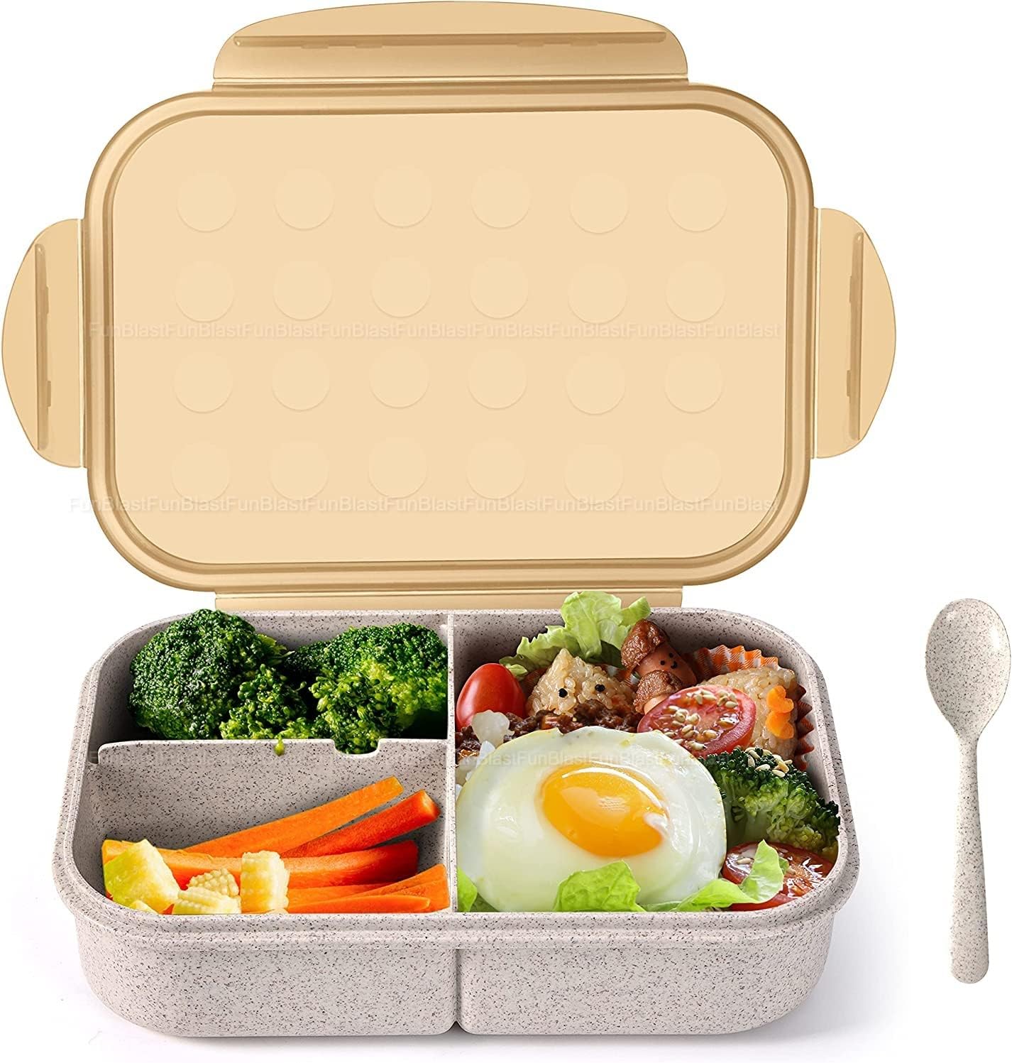Funblast Lunch Box For Kids Tiffin Box For Kids,Plastic Lunch Box For ...
