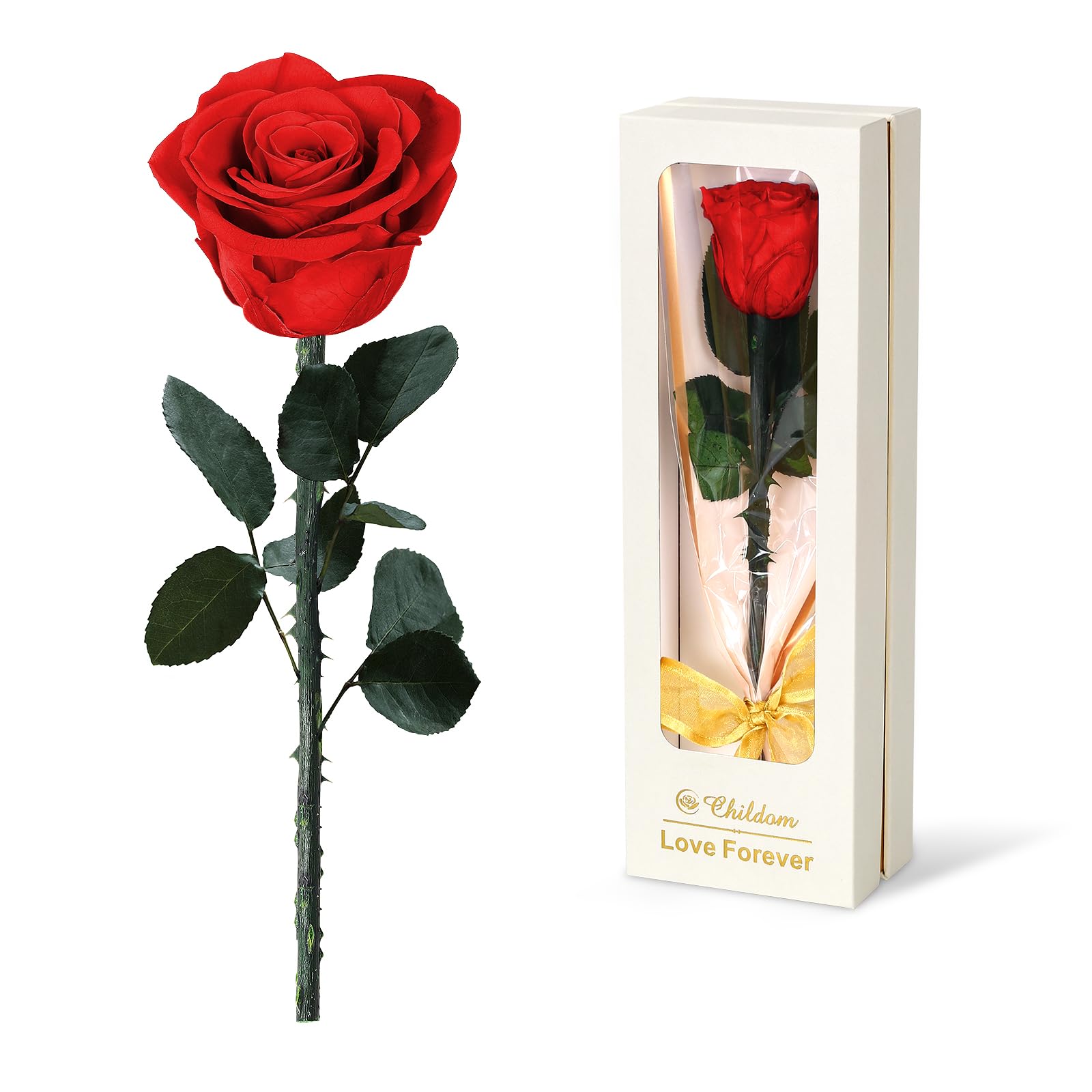 Amazon.com: Birthday Gifts for Women,Valentines Rose Gifts for Women ...
