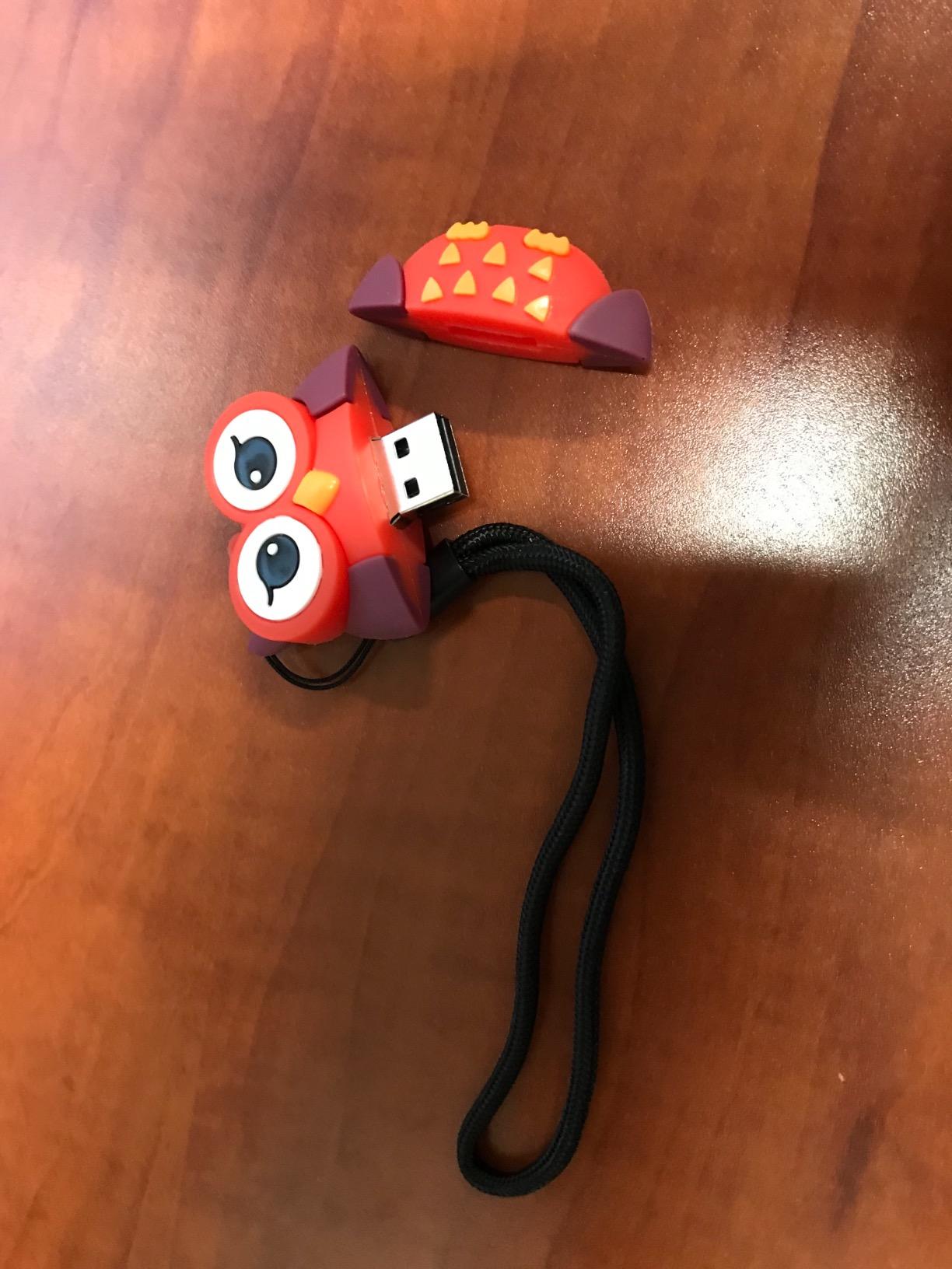 Amazon.com: QICAIHU Novelty Fox Shape Design 16GB USB 2.0 Flash Drive ...