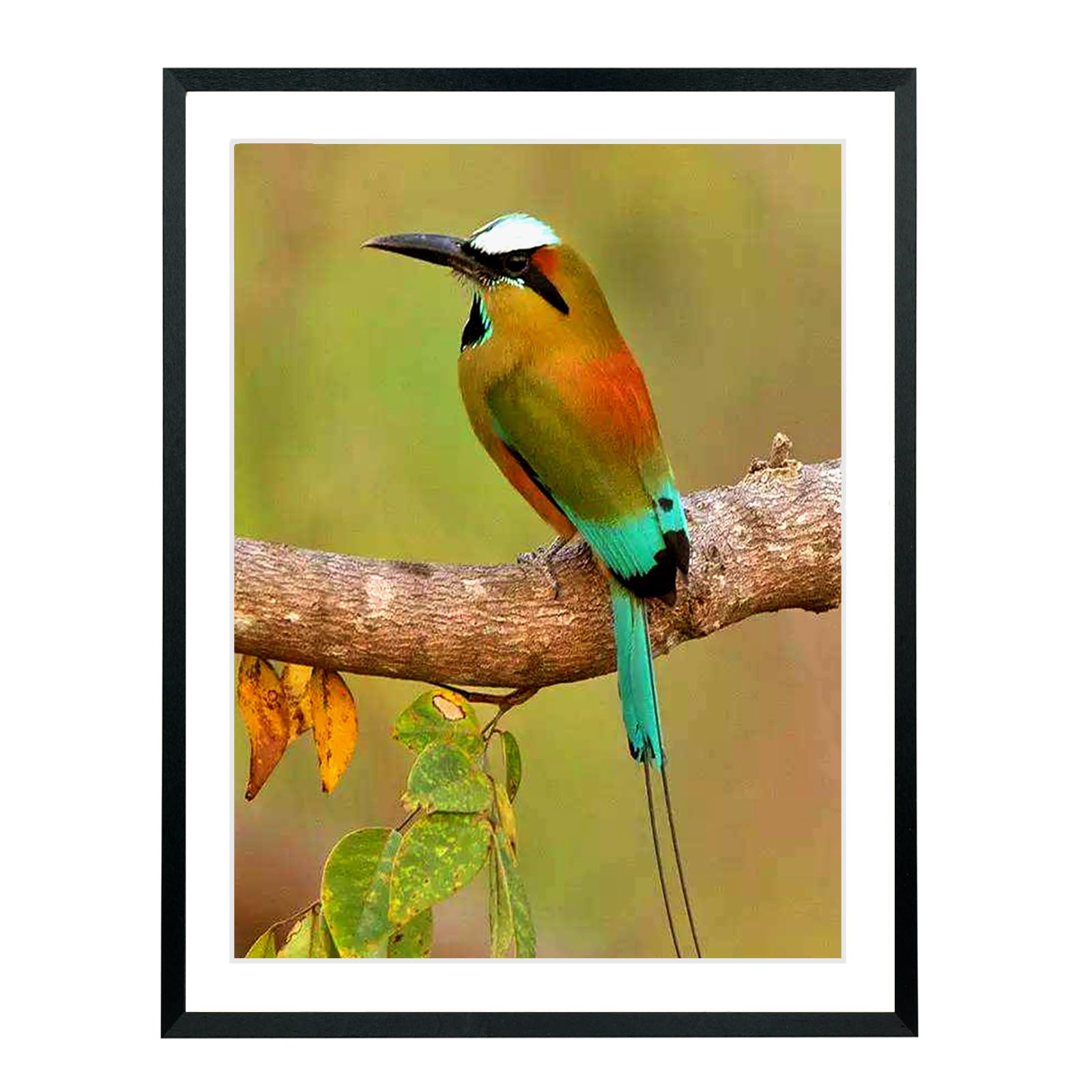 Amazon.com: Mxtallup 18x23 Picture Frames Solid wood,Display Pictures ...