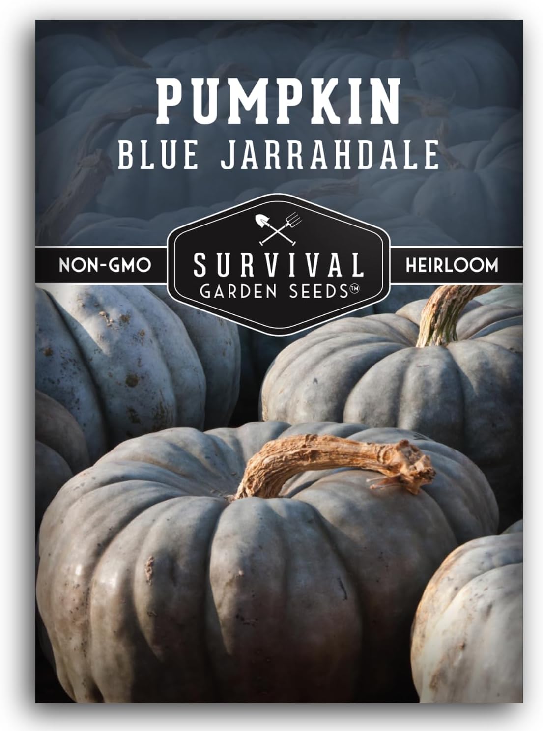 Amazon.com : Seed Needs, Specialty Pumpkin Seed Packet Collection (4 ...