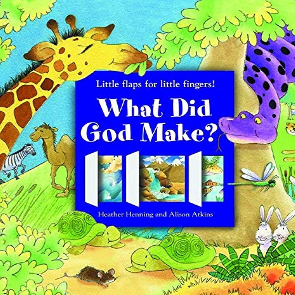 What Did God Make?: Heather Henning, Alison Atkins, Alison Atkins ...