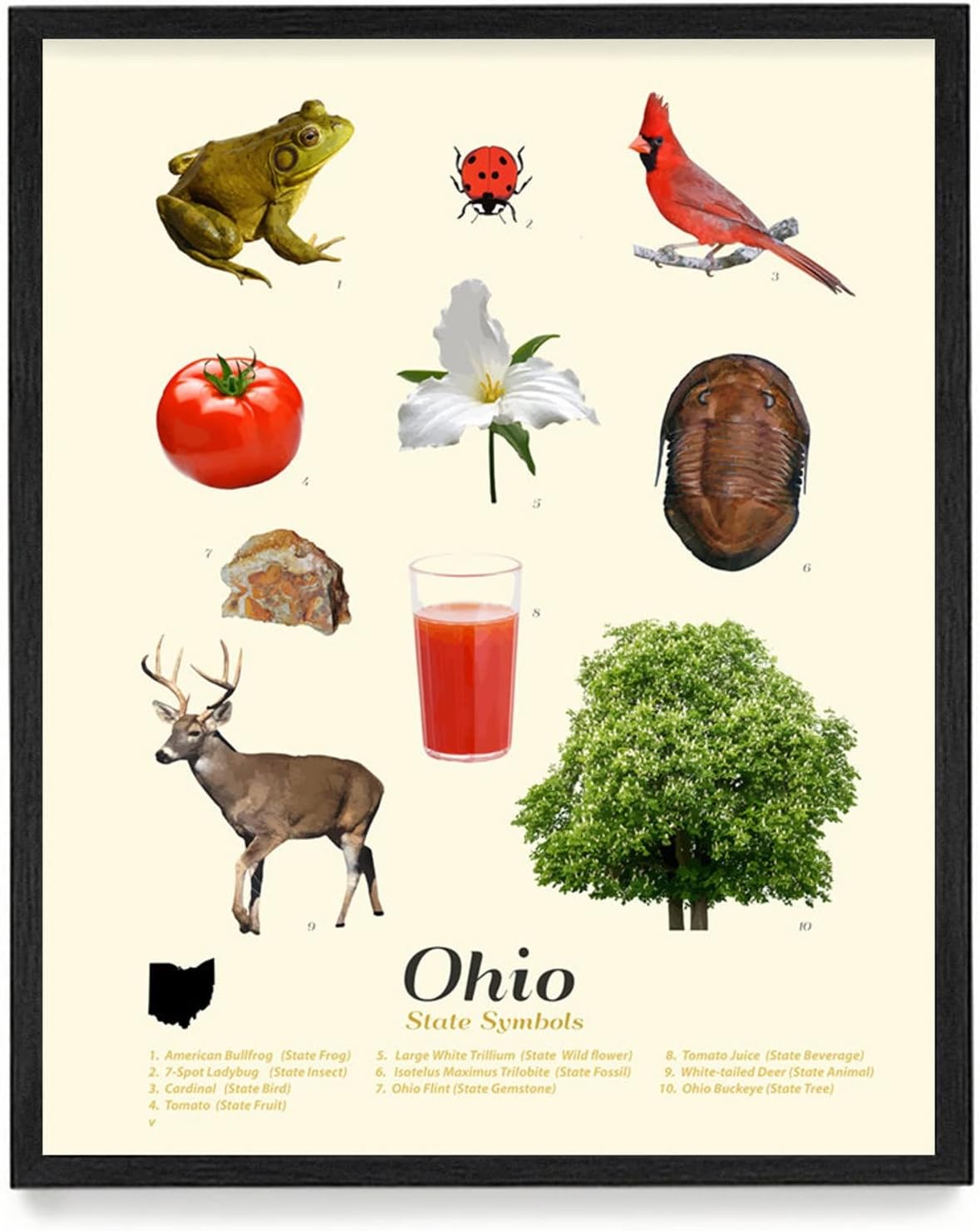 Amazon.com: WUNDERKAMMER STUDIO - Ohio State Symbols Poster Print ...