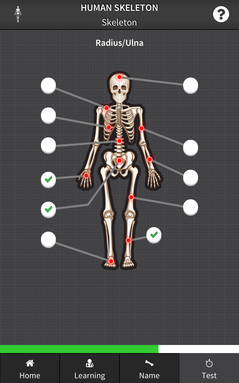 Human Skeleton: Bones for beginners - App on the Amazon Appstore