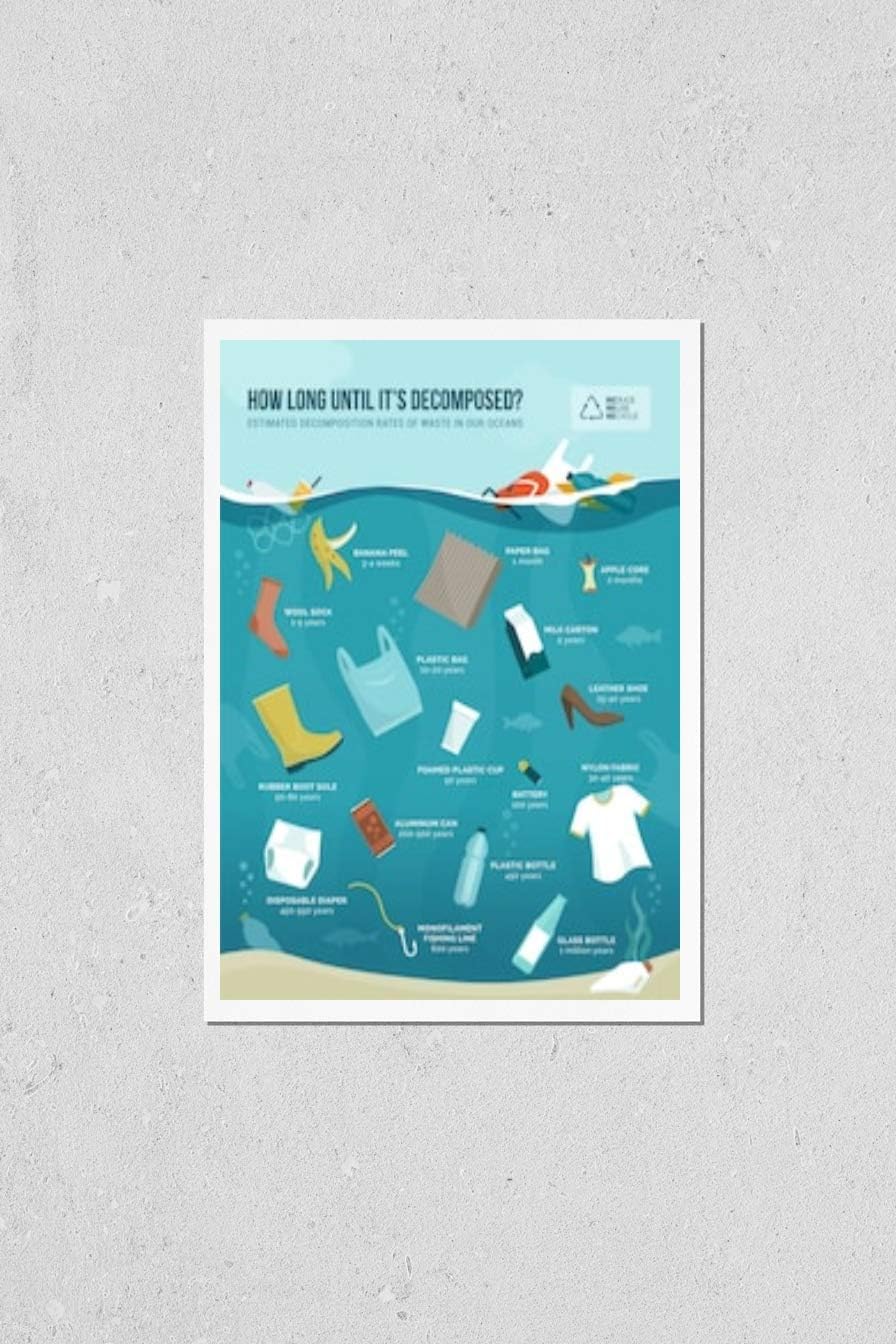 Amazon.com: HardPress Wall Art Poster Print of Estimated Decomposition ...