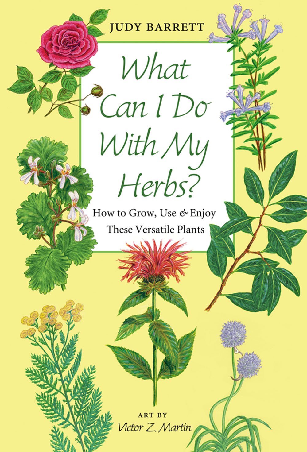 What Can I Do With My Herbs How To Grow Use And Enjoy These what-can-i-do-with-my-herbs-how-to-grow-use-and-enjoy-these