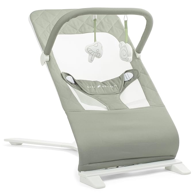 Amazon.com : Baby Delight Alpine Deluxe Portable Baby Bouncer | Infant ...