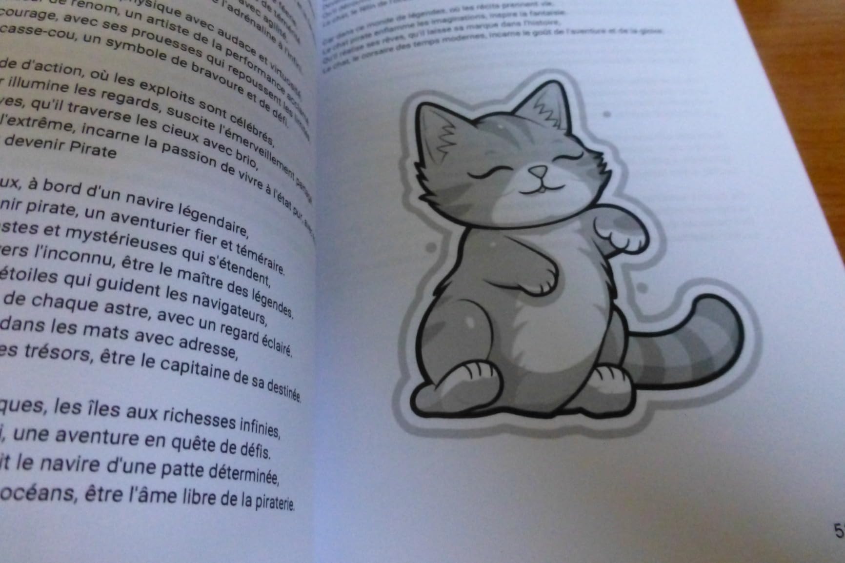 Amazon.fr - Poésie féline: Poèmes félinins pour les amoureux des chats ...