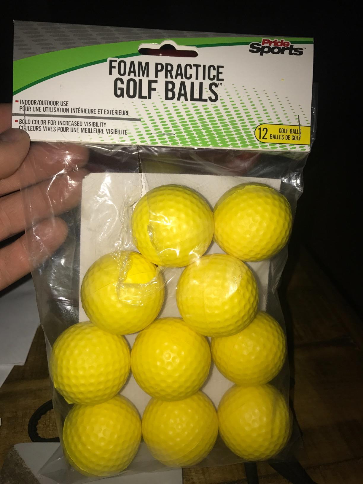 Amazon.com : Etna Gotcha Talking Dog Fetch Toy, an Automatic Ball ...