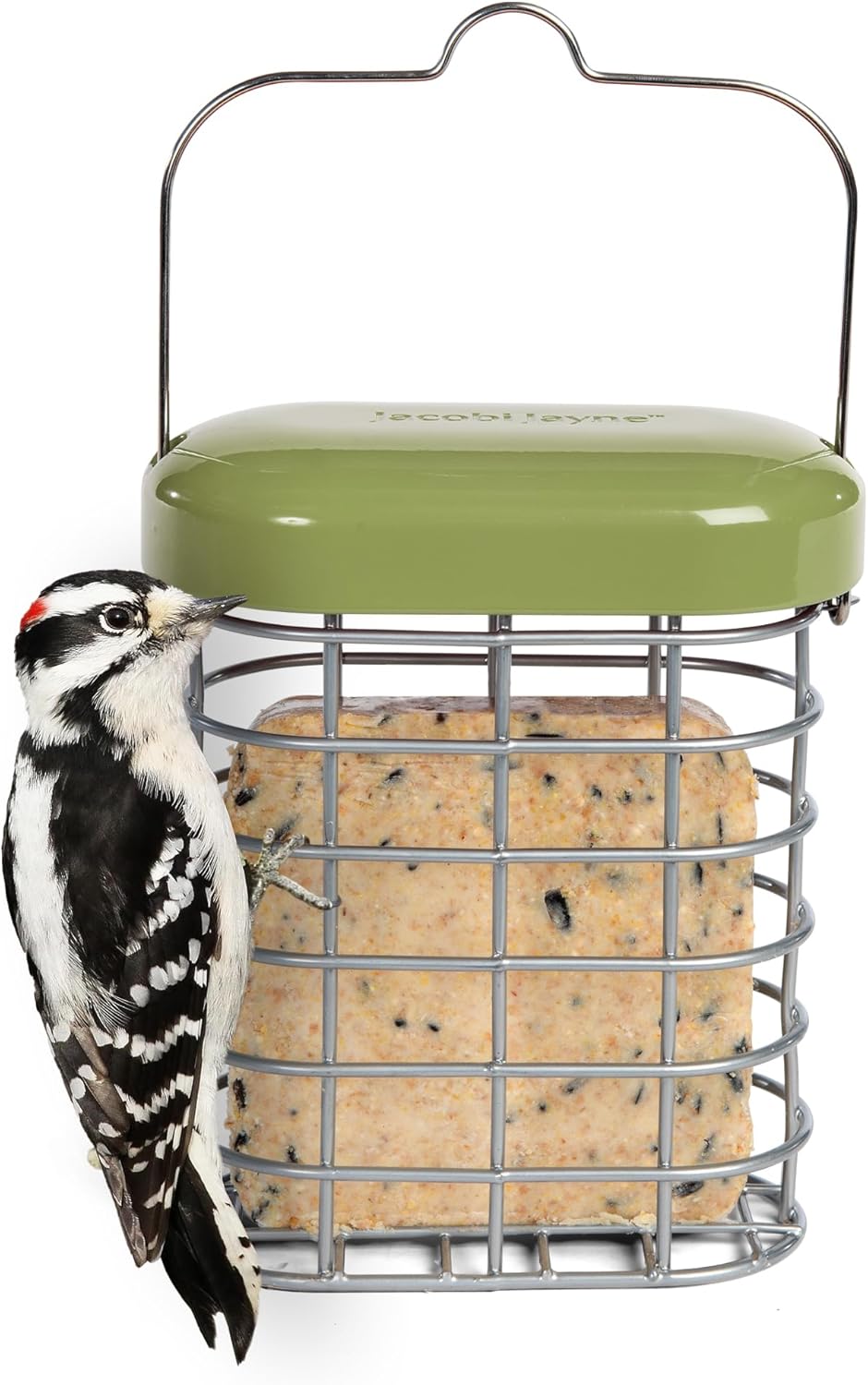 Amazon.com : Fat Ball Hanging Bird Feeder - Jacobi Jayne® Premium Suet ...