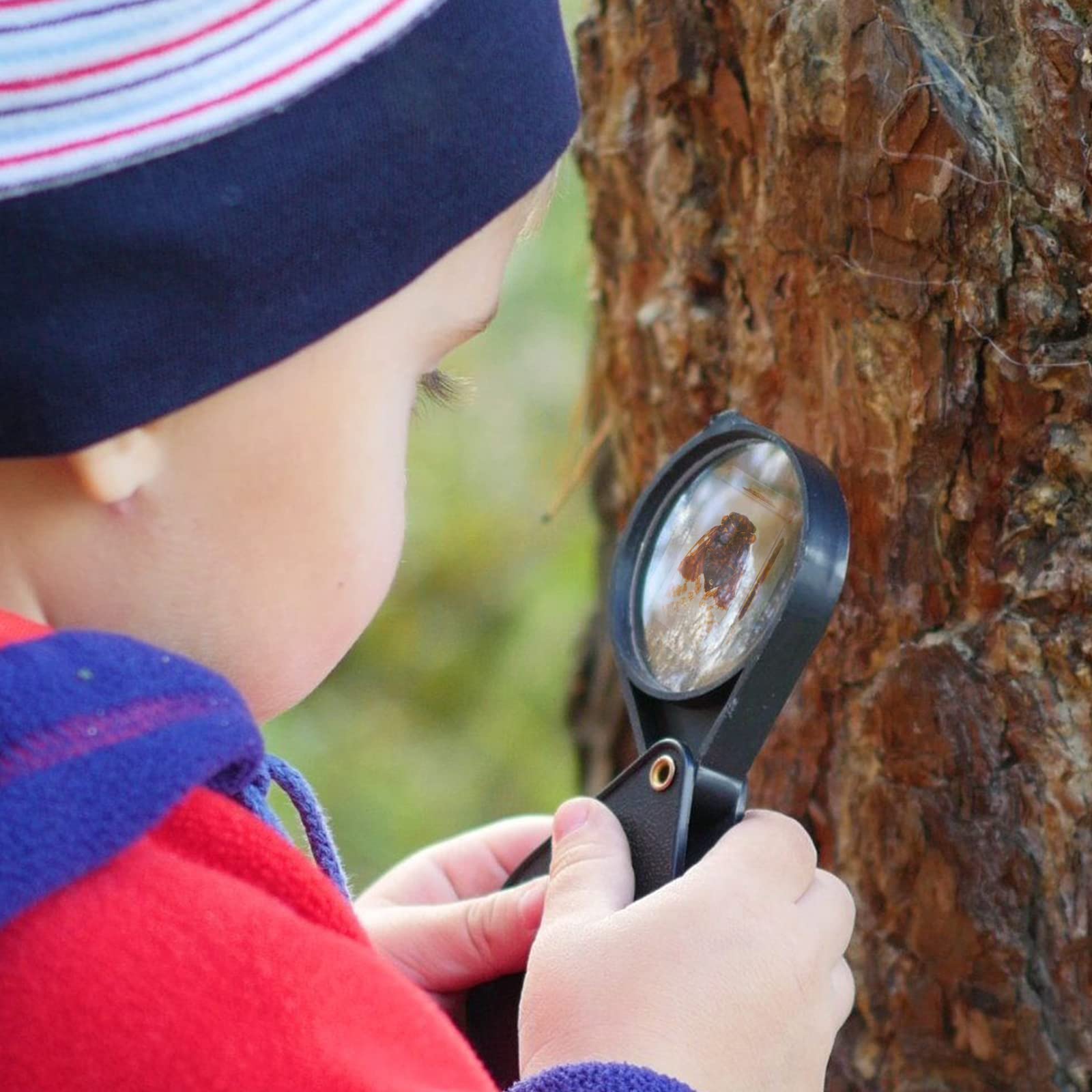 Snapklik.com : 20 Pcs Insect In Resin Bug Preserved Specimen Collection ...
