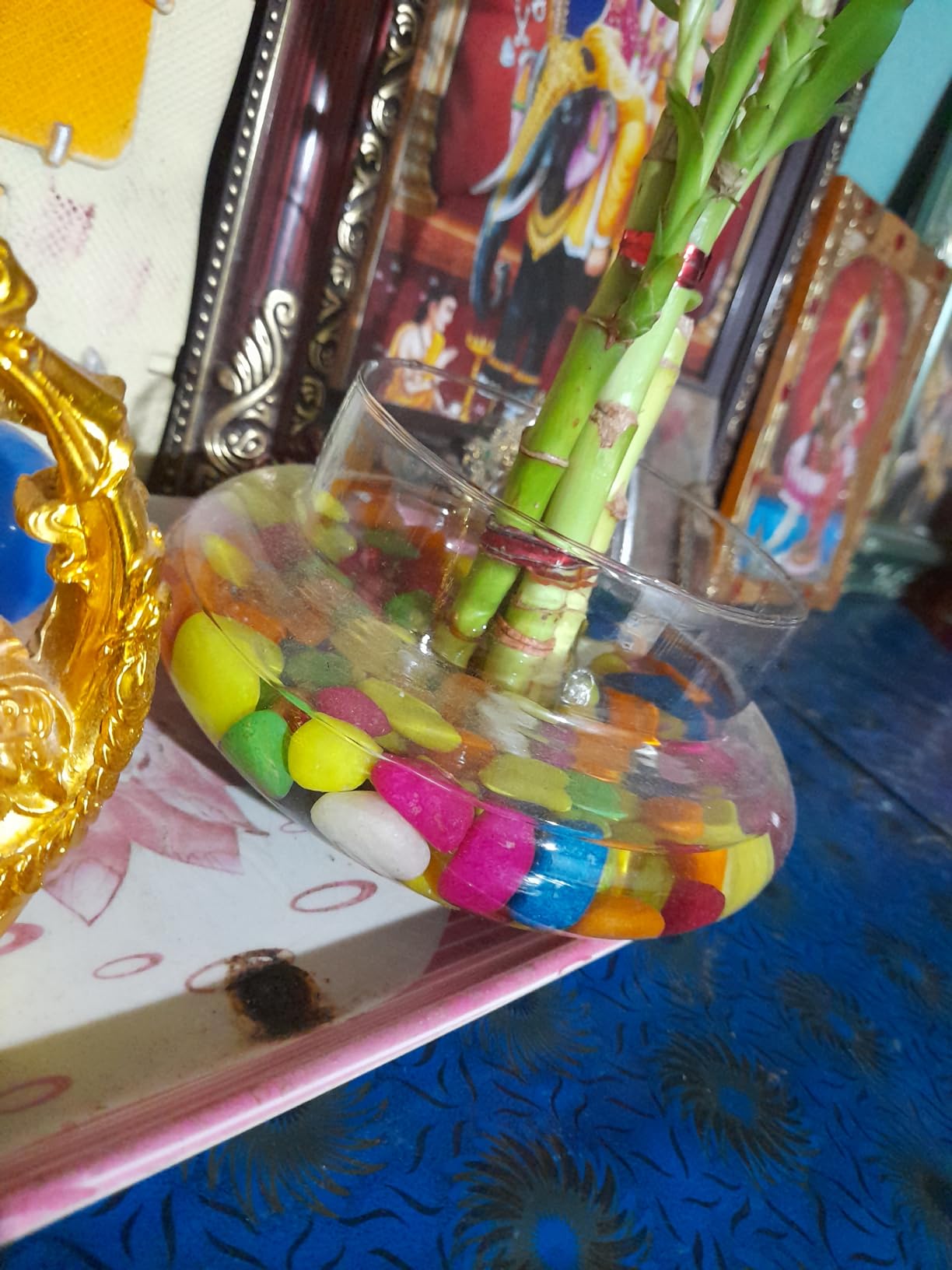 Aarnish Bamboo Pots Glass pots for Lucky Bamboo Bowl transperant Glass ...