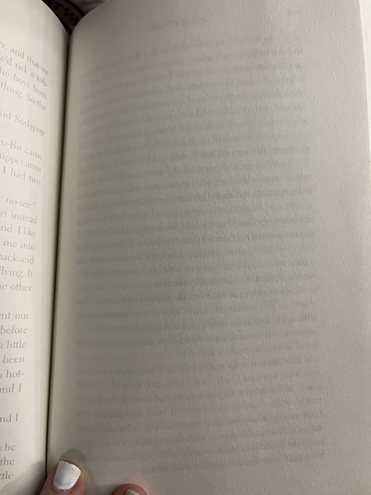 Amazon.com: The Outsiders: S.E. Hinton: Books