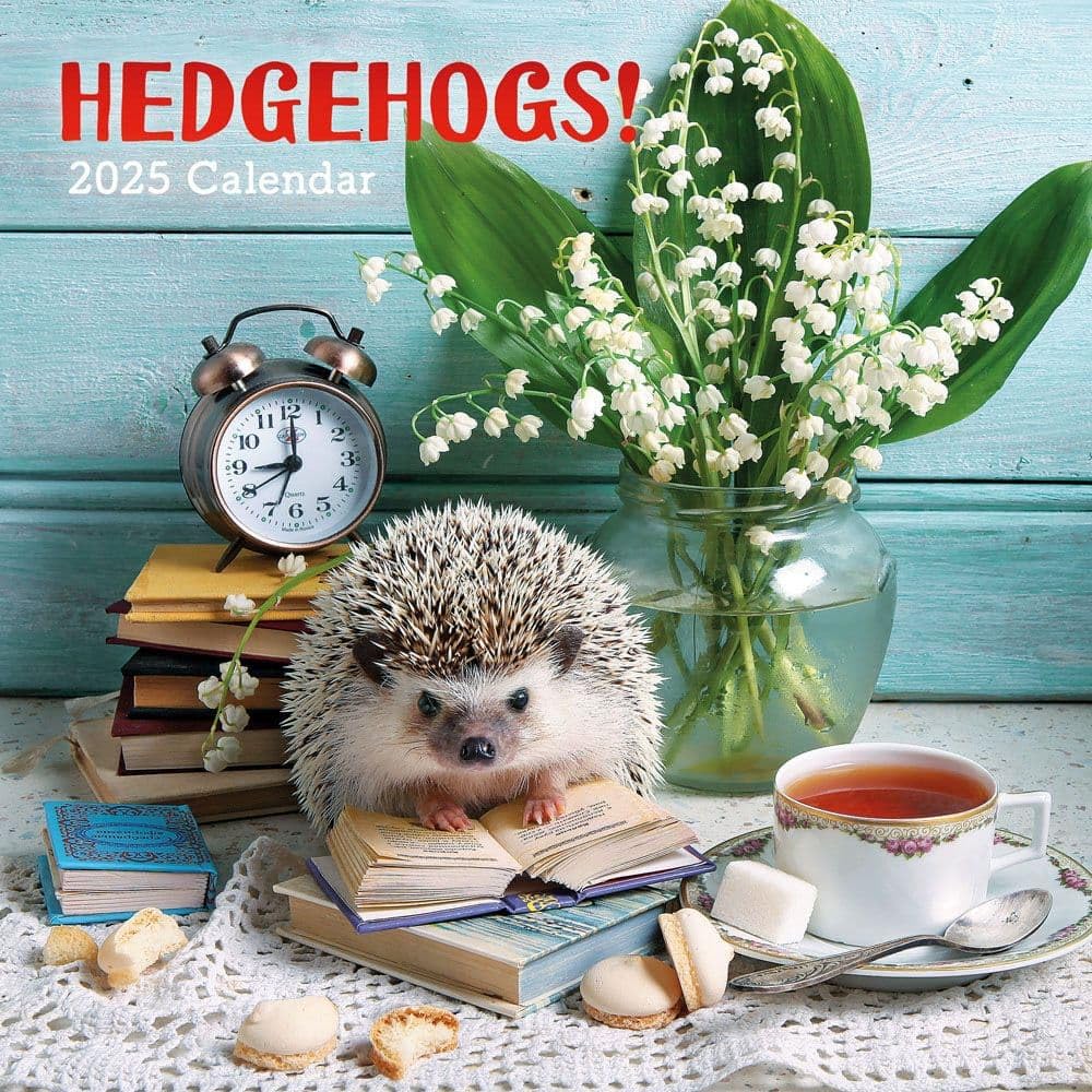 Amazon.com: Carousel Calendars, Hedgehogs 2025 Wall Calendar : Office ...