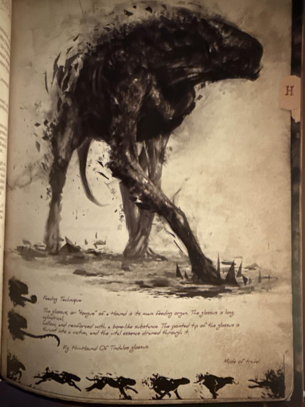 S. Petersen's Field Guide to Lovecraftian Horrors: A Field Observer's ...