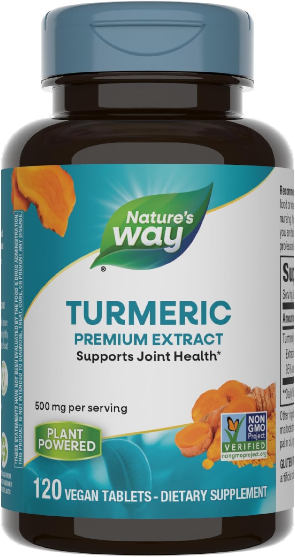 Amazon.com: Nature's Way Premium Extract Turmeric Max Potency ...