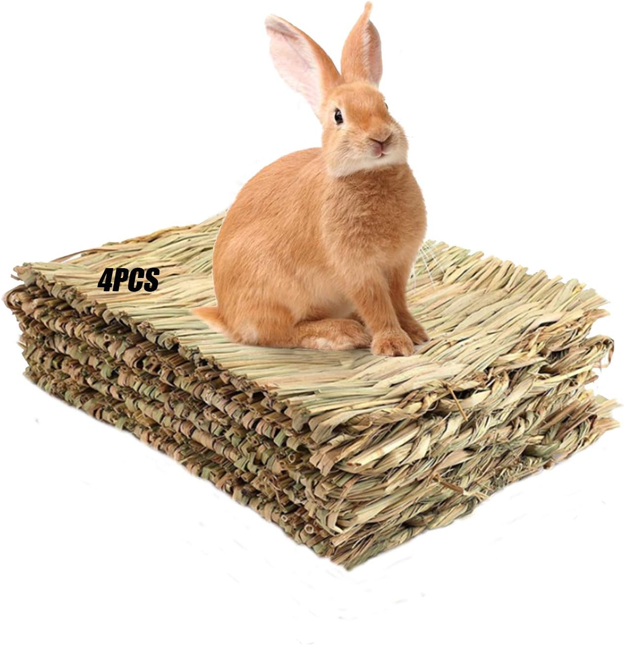 Amazon.com : Tfwadmx Rabbit Grass Mat,16.5''x11'' Large Small Animal ...