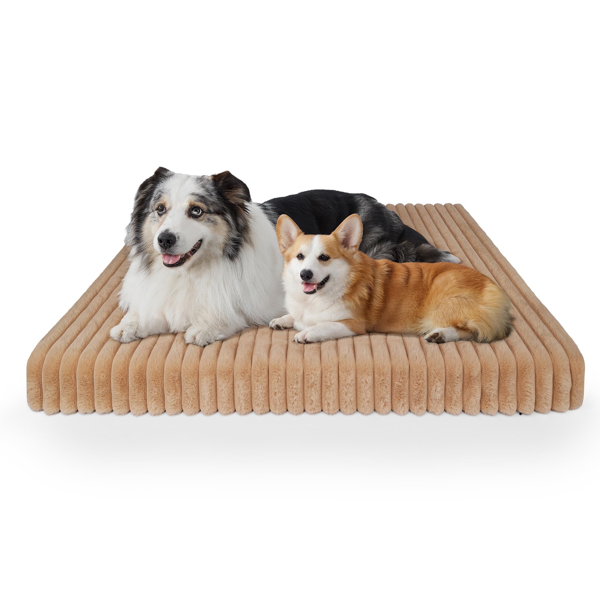 Amazon.com : Chicute Waterproof Orthopedic XL Dog Bed, Egg Foam ...