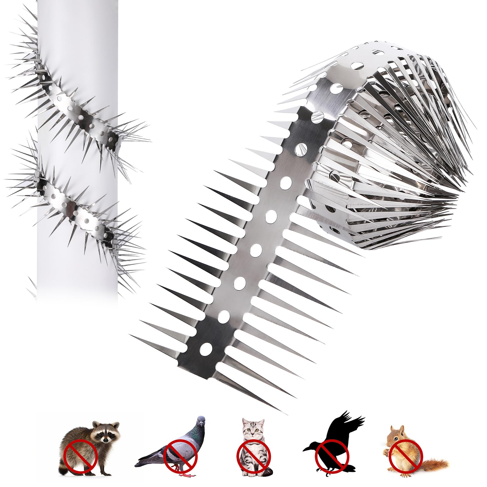Amazon.com : AMZDOTD Bird Spikes for Outside to Keep Birds Away, Pigeon ...