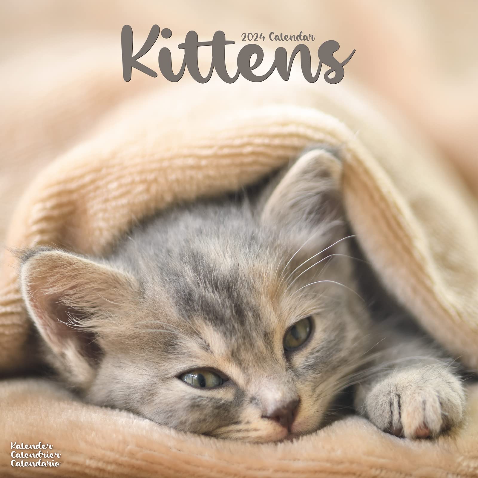 Cute Kitten Calendar - Calendars 2023 - 2024 Wall Calendars - Animal ...