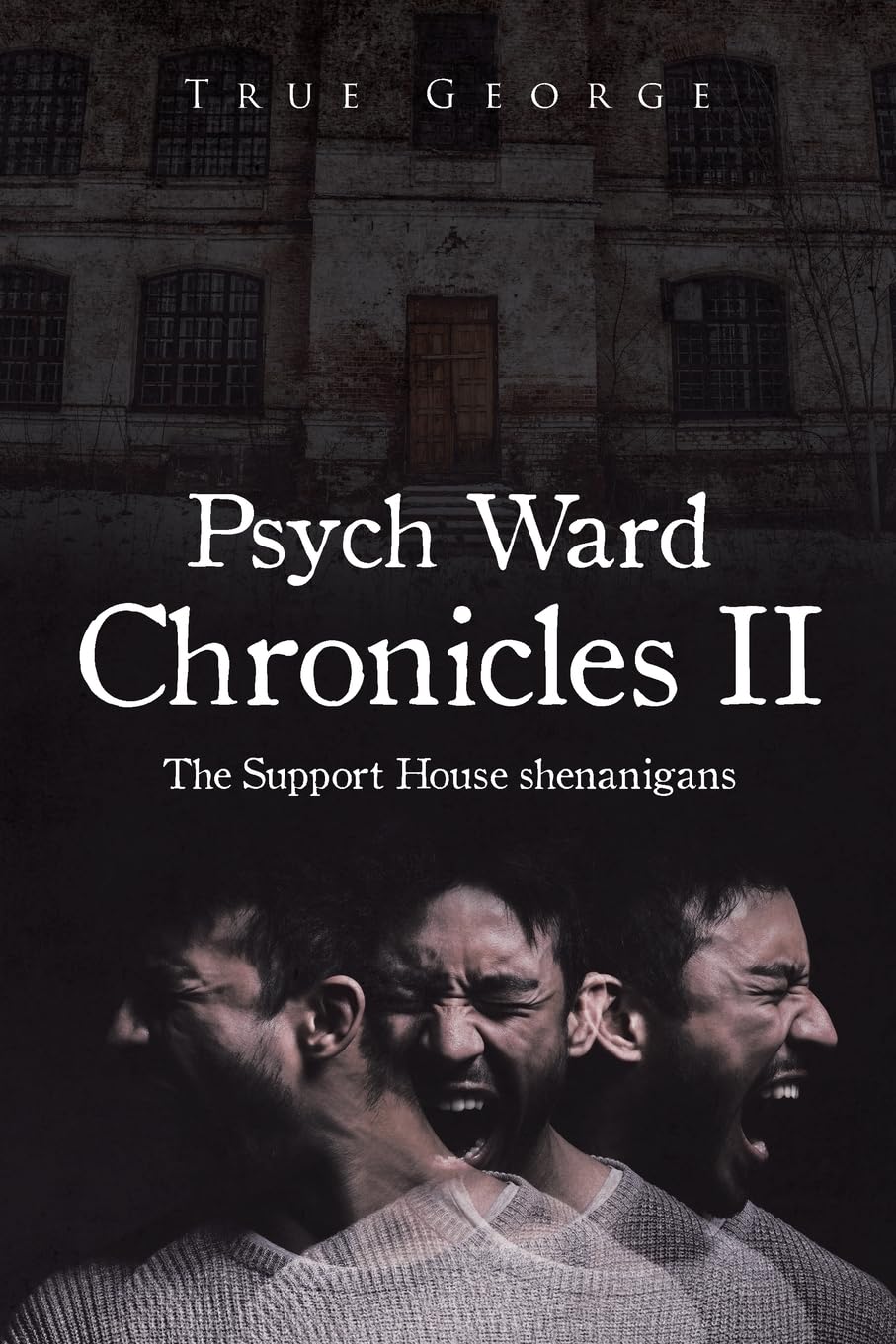 Psych Ward Chronicles II: The Support House Shenanigans: George, True ...