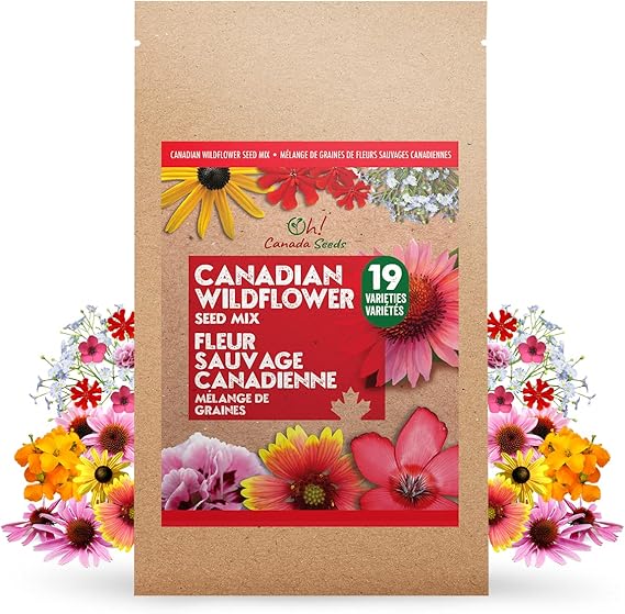 Canadian Wildflower Seed Mix - 13,500 Seeds - 19 Annual & Perennial ...