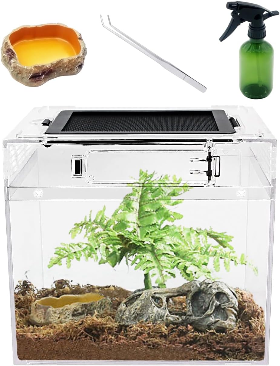 Amazon.com : Reptile Growth Mini Reptile PC Terrarium,8x8x8 inch ...