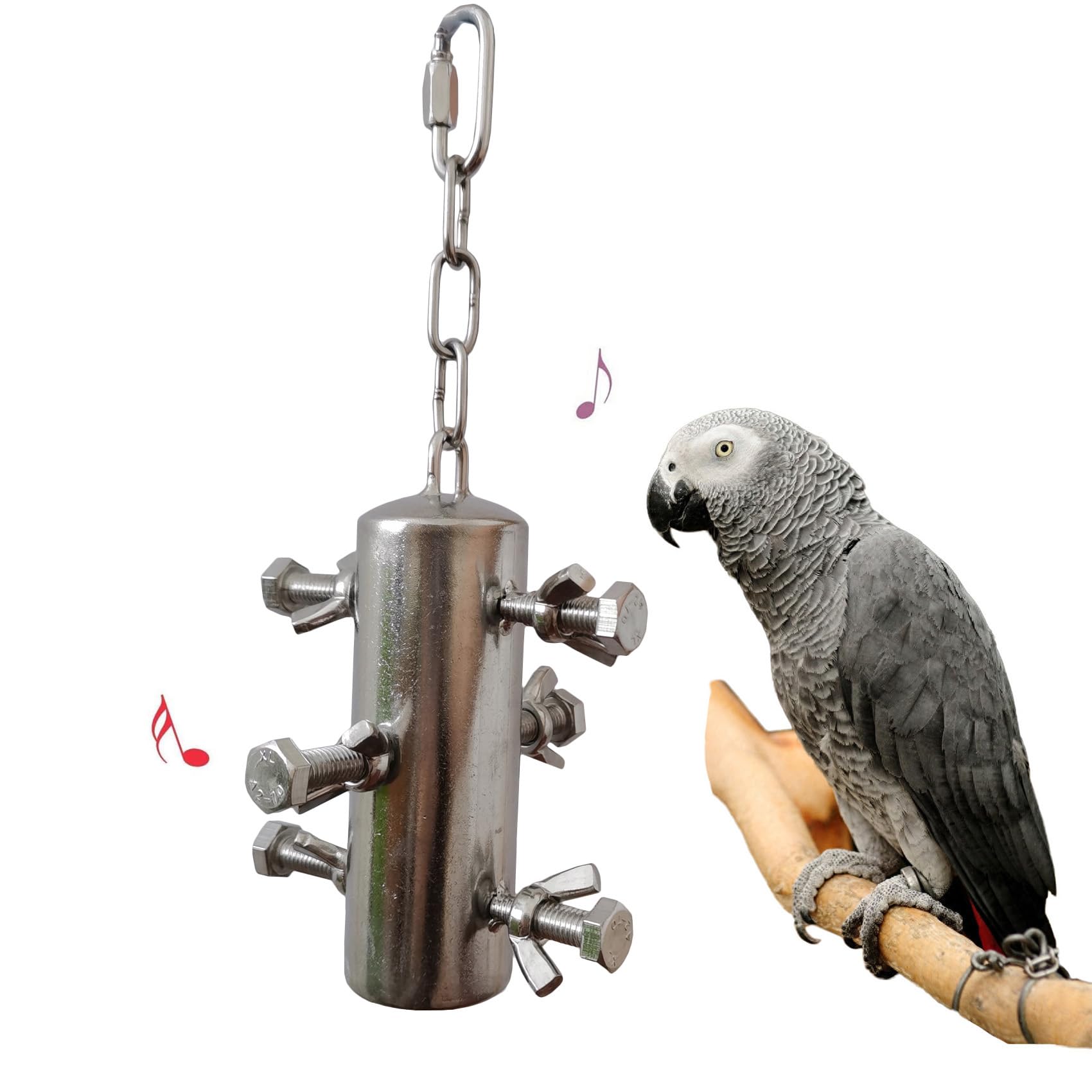 Amazon.com : JSLZF Stainless Steel Parrot Toy, Hanging African Grey ...