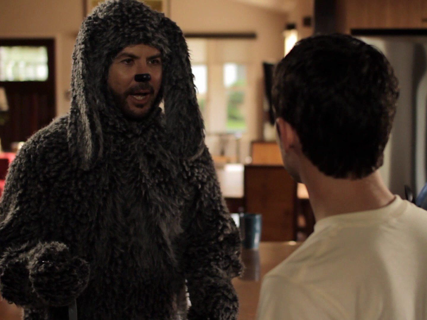 Watch Wilfred Season 1 | Prime Video