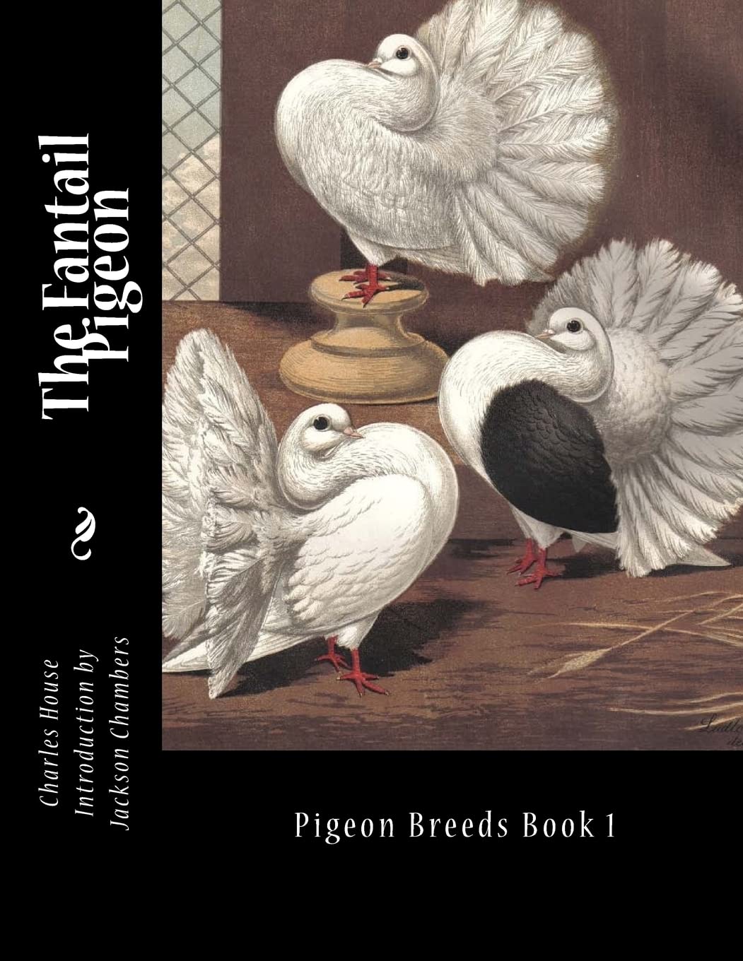 The Fantail Pigeon: Pigeon Breeds Book 1: House, Charles, Chambers ...
