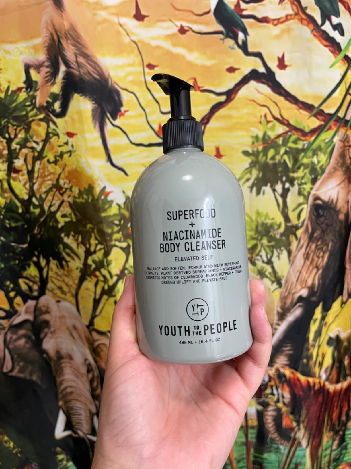 Amazon.com: Youth To The People Superfood + Niacinamide Body Cleanser ...