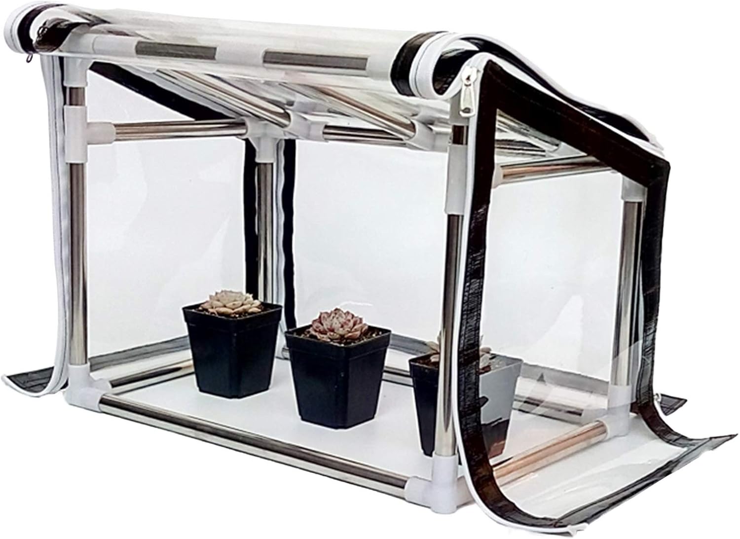 Amazon.com : MAHFEI Mini Greenhouse Tabletop, Small Plants Greenhouse ...