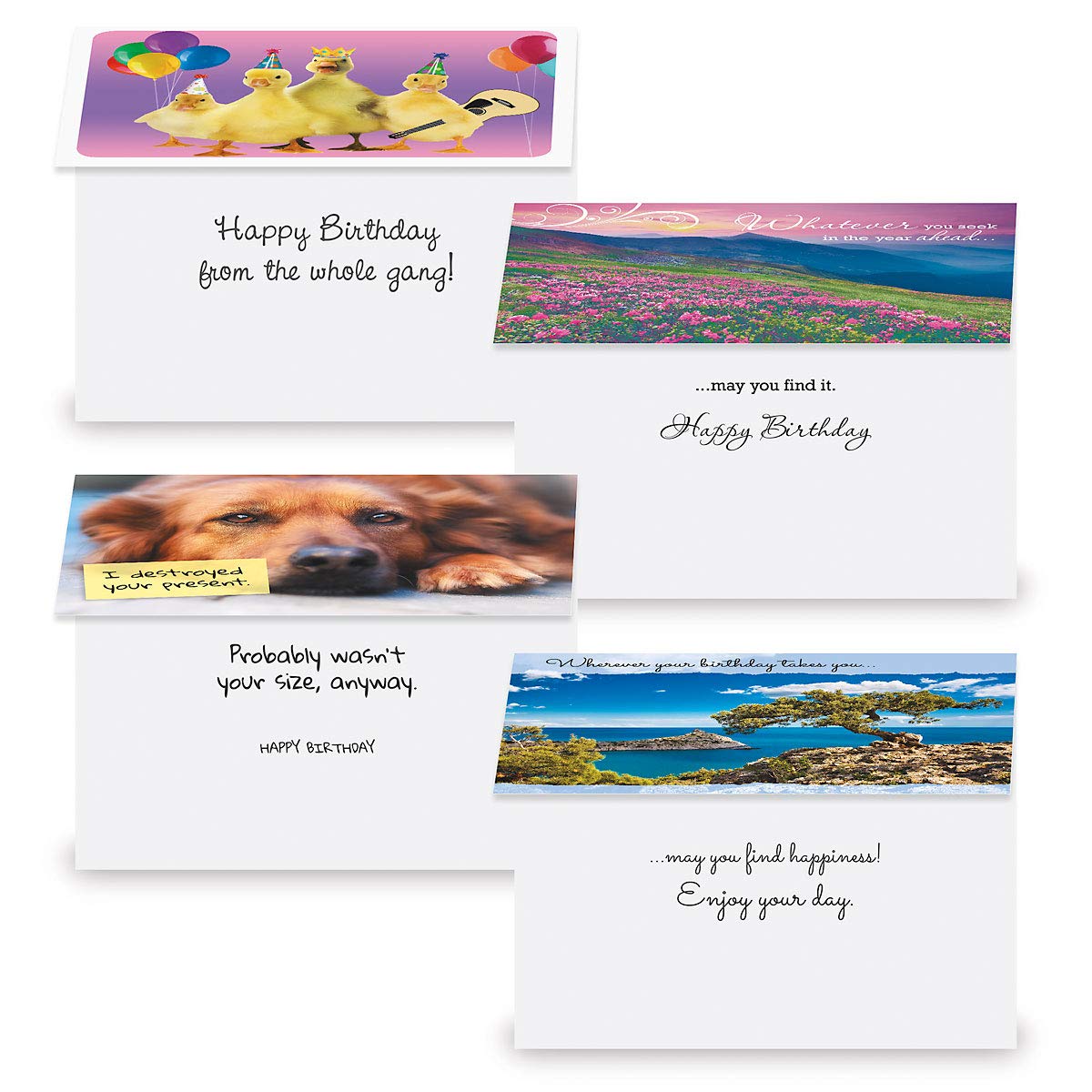Snapklik.com : Current Mega Birthday Greeting Cards Value PackSet Of 40