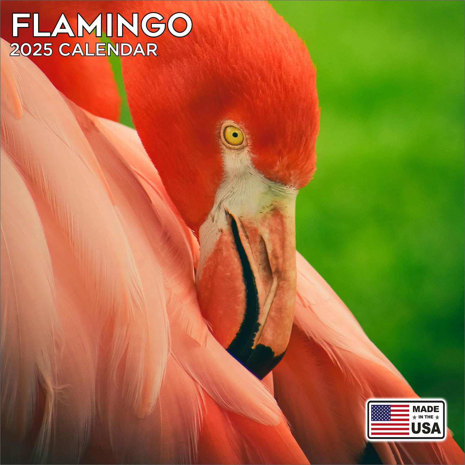 2025 Flamingo Calendar - Dog Breed Wall Calendar - 12 x 24 Open - Thick ...