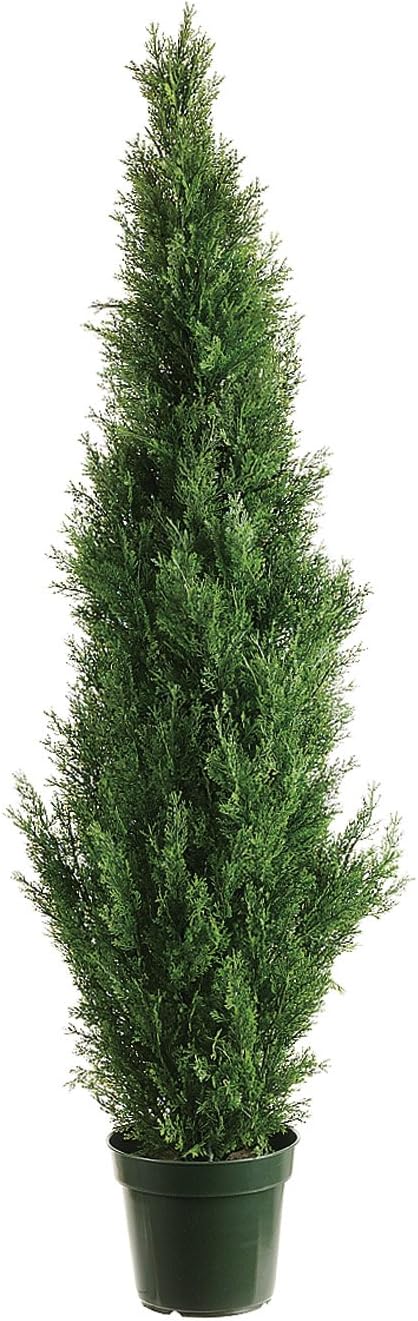 Amazon.com - ALLSTATE FLORAL Cedar Topiary with Pot, 60"