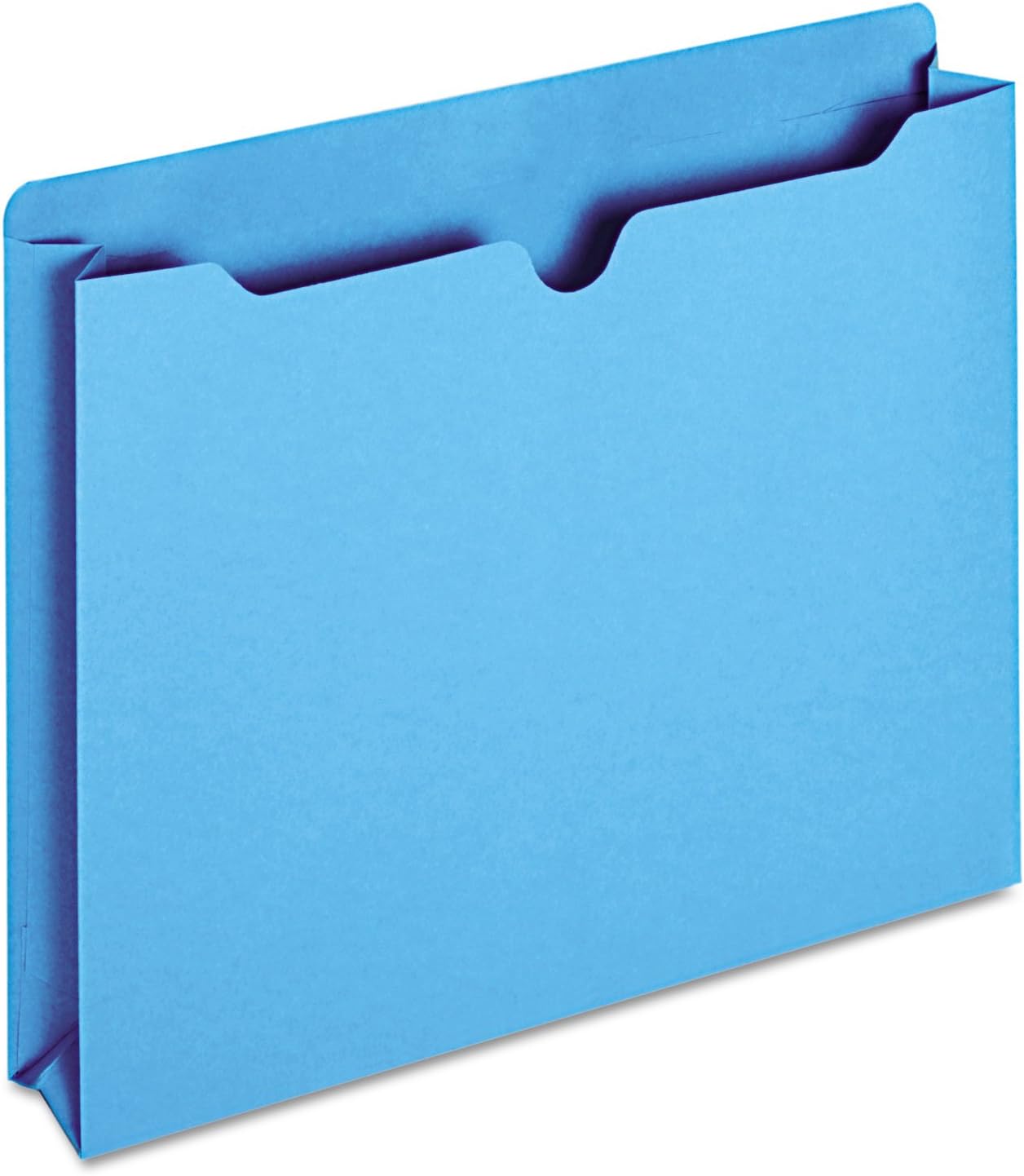 Pendaflex Globe-Weis/Pendaflex File Jackets, 2-Inch Expansion, Letter ...