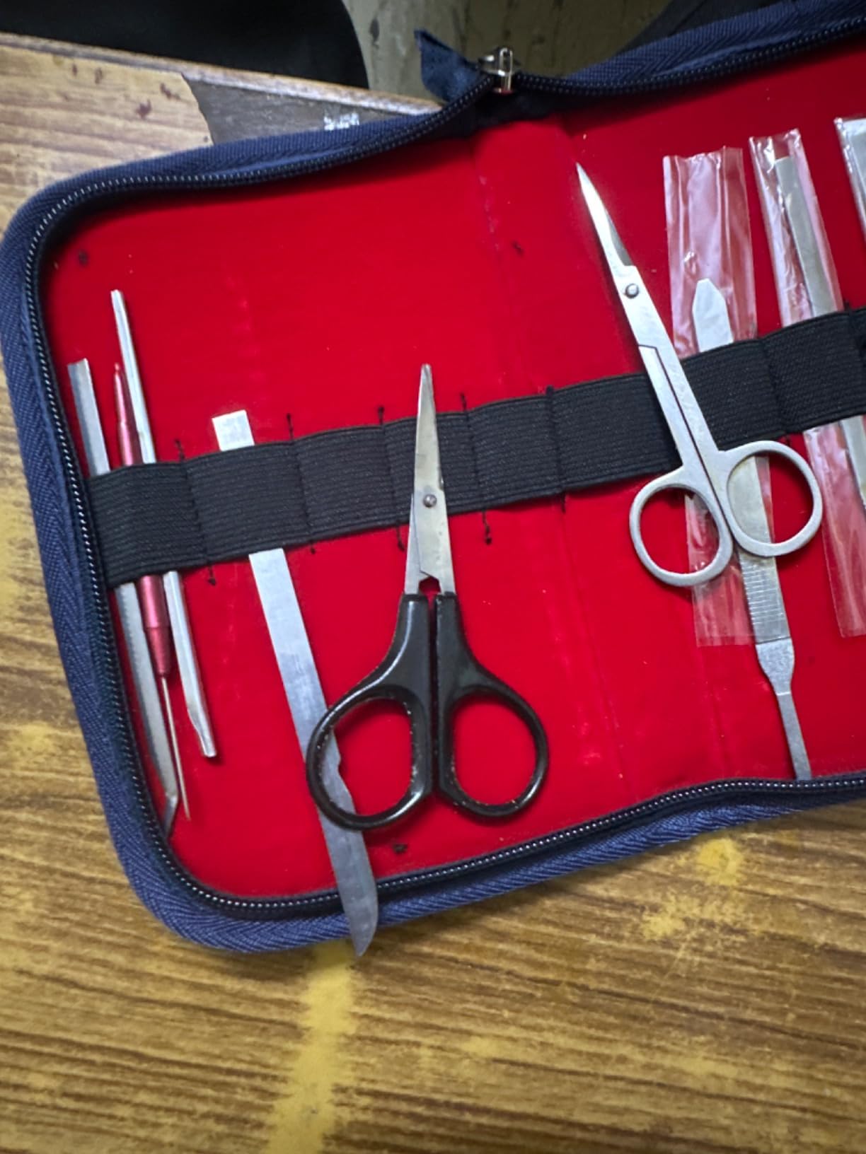 THE FIRST LAB Stainless Steel 14 Piece Dissection Kit with Case for ...