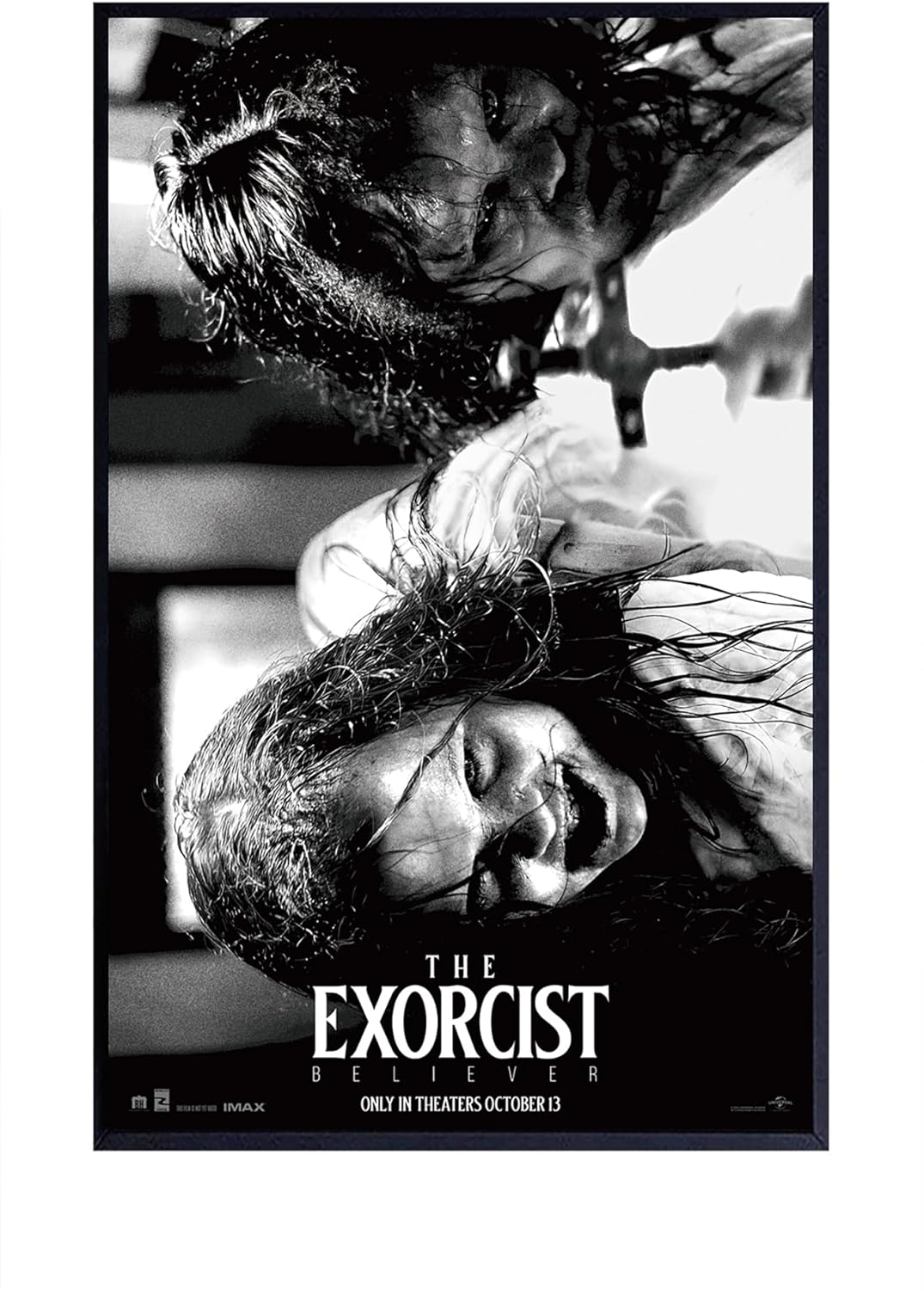 Amazon.com: Kerry dober horror The Exorcist Believer Movie Poster Cool ...