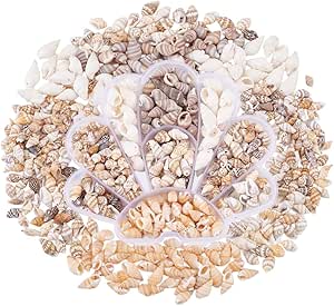 PH PandaHall 460pcs Seashells Craft Beads, Mixed Colors, Natural Spiral ...