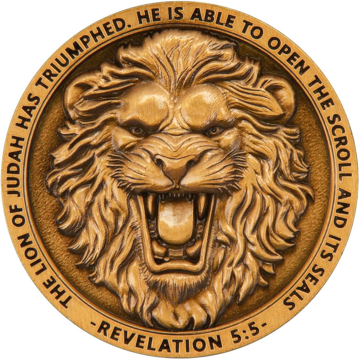 Amazon.com: Christian Faith Medallion with Lion of Judah and Shield ...