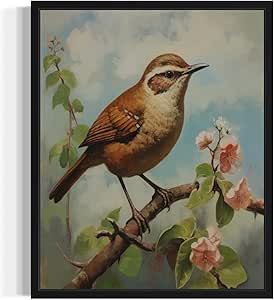 Amazon.com: Carolina Wren Art Print Poster, Vintage Waterfowl Bird ...