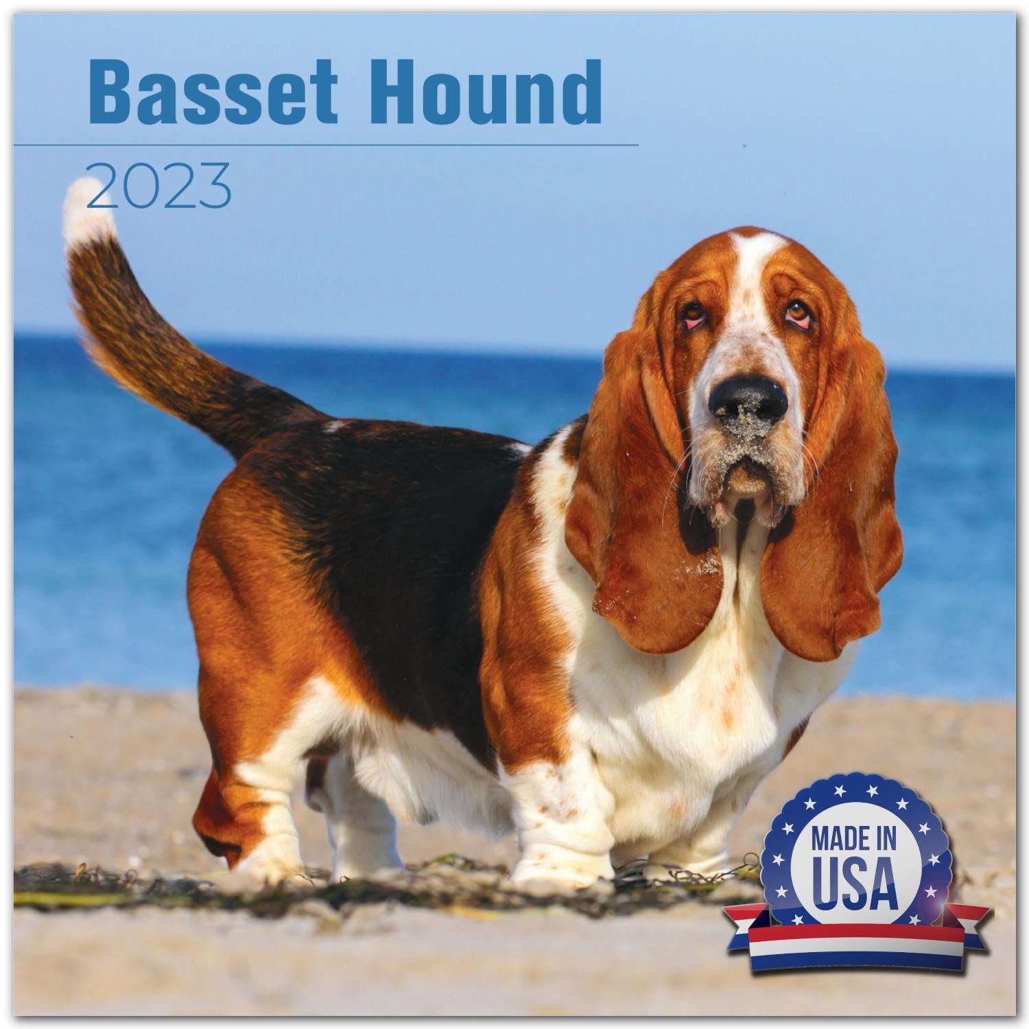 What Size Collar Does A Basset Hound Need