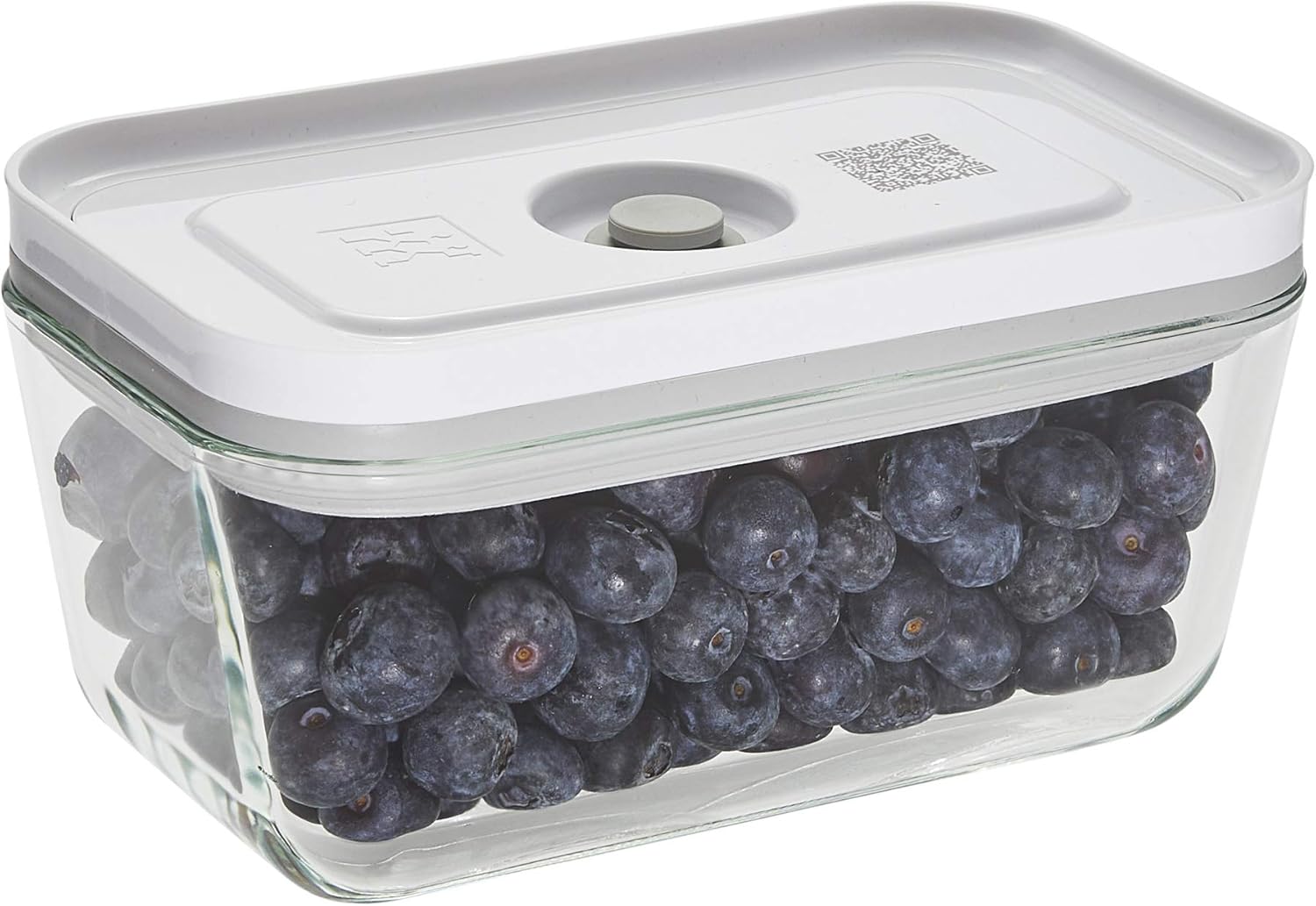 ZWILLING Fresh & Save Medium Glass Airtight Food Storage Container ...