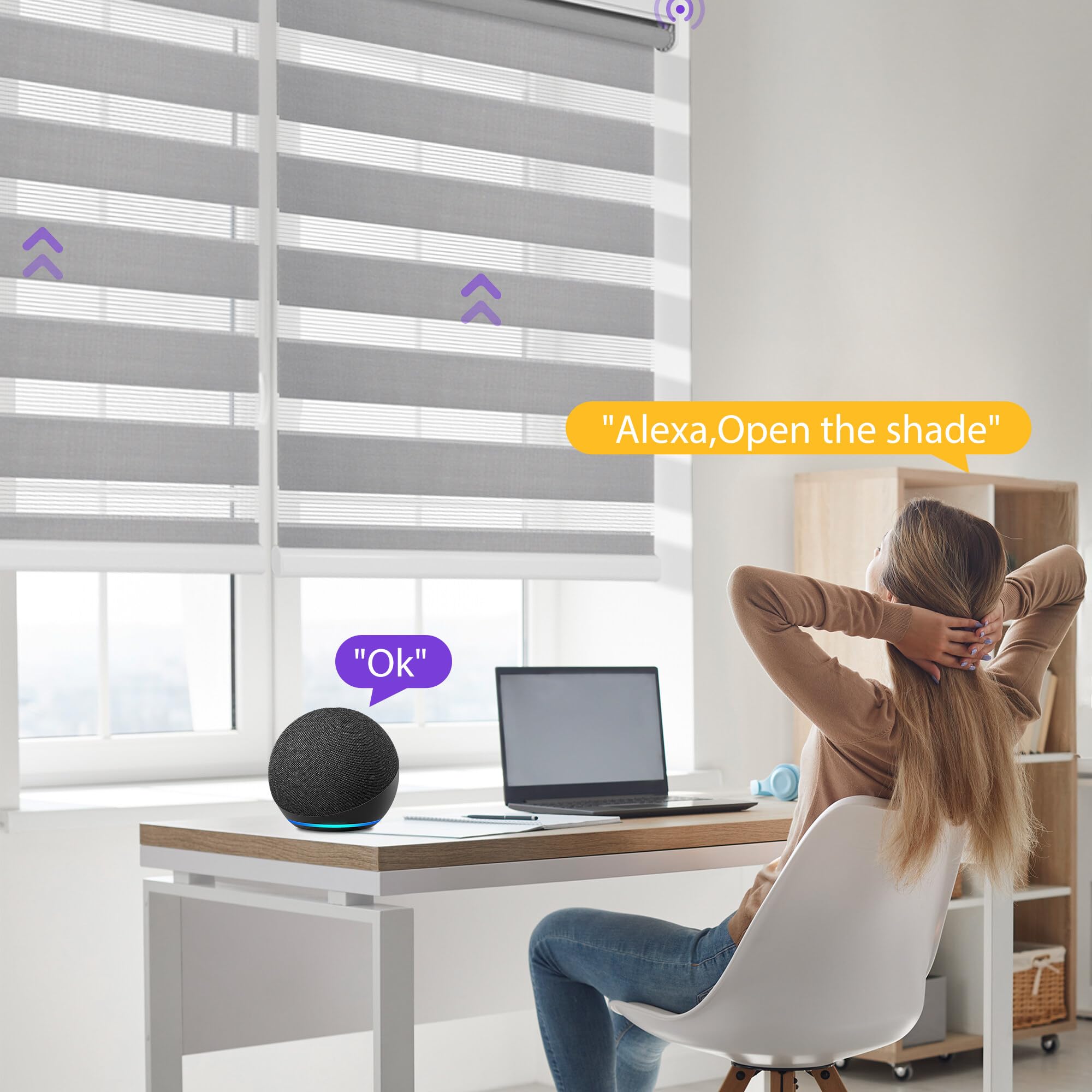 Allesin Motorized Zebra Blinds for Window with Remote, Compatible with Alexa, Smart Dual Layer ...