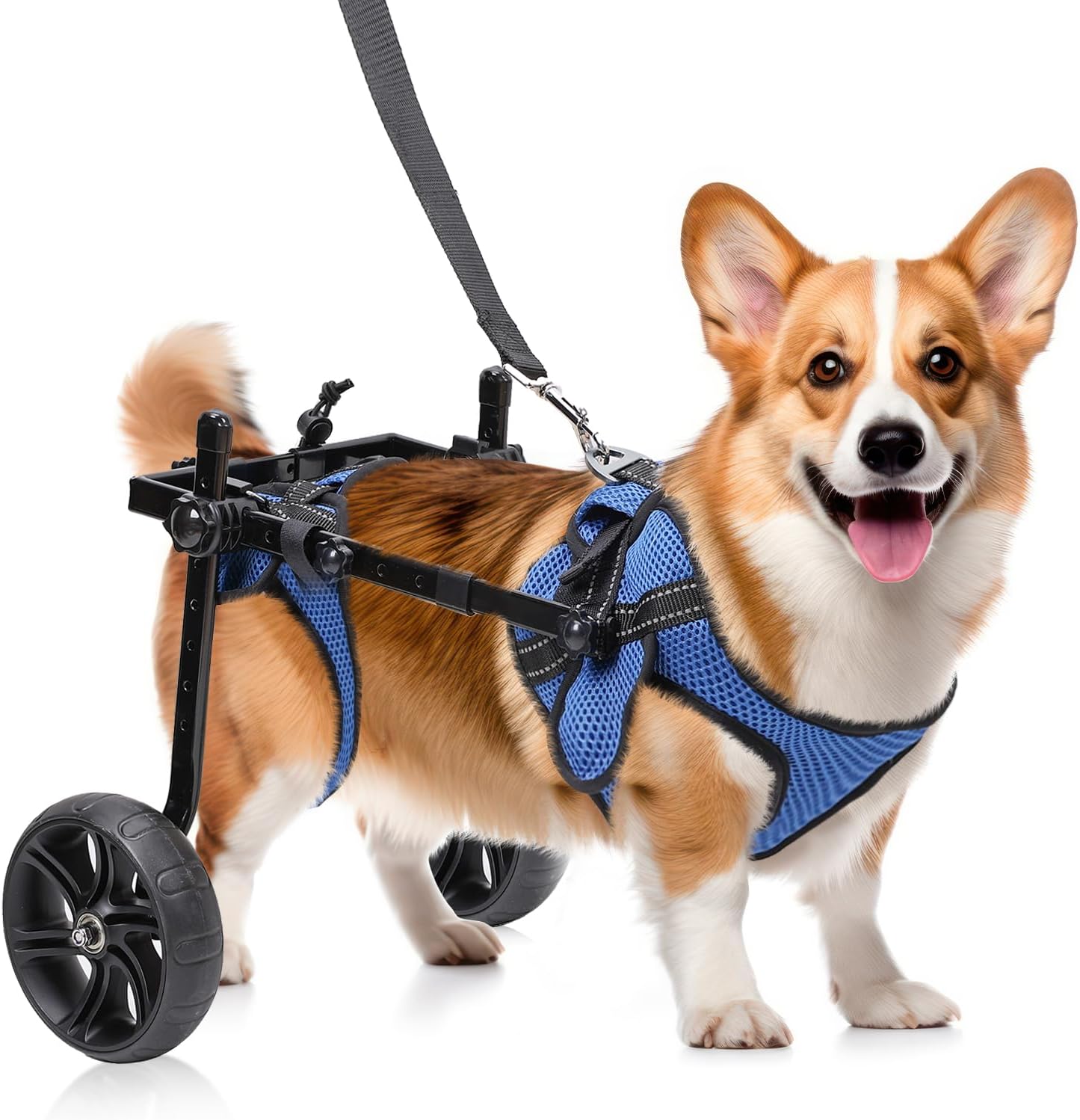 Amazon.com : Virbraroo Dog Wheelchair for Back Legs with Upgraded All ...