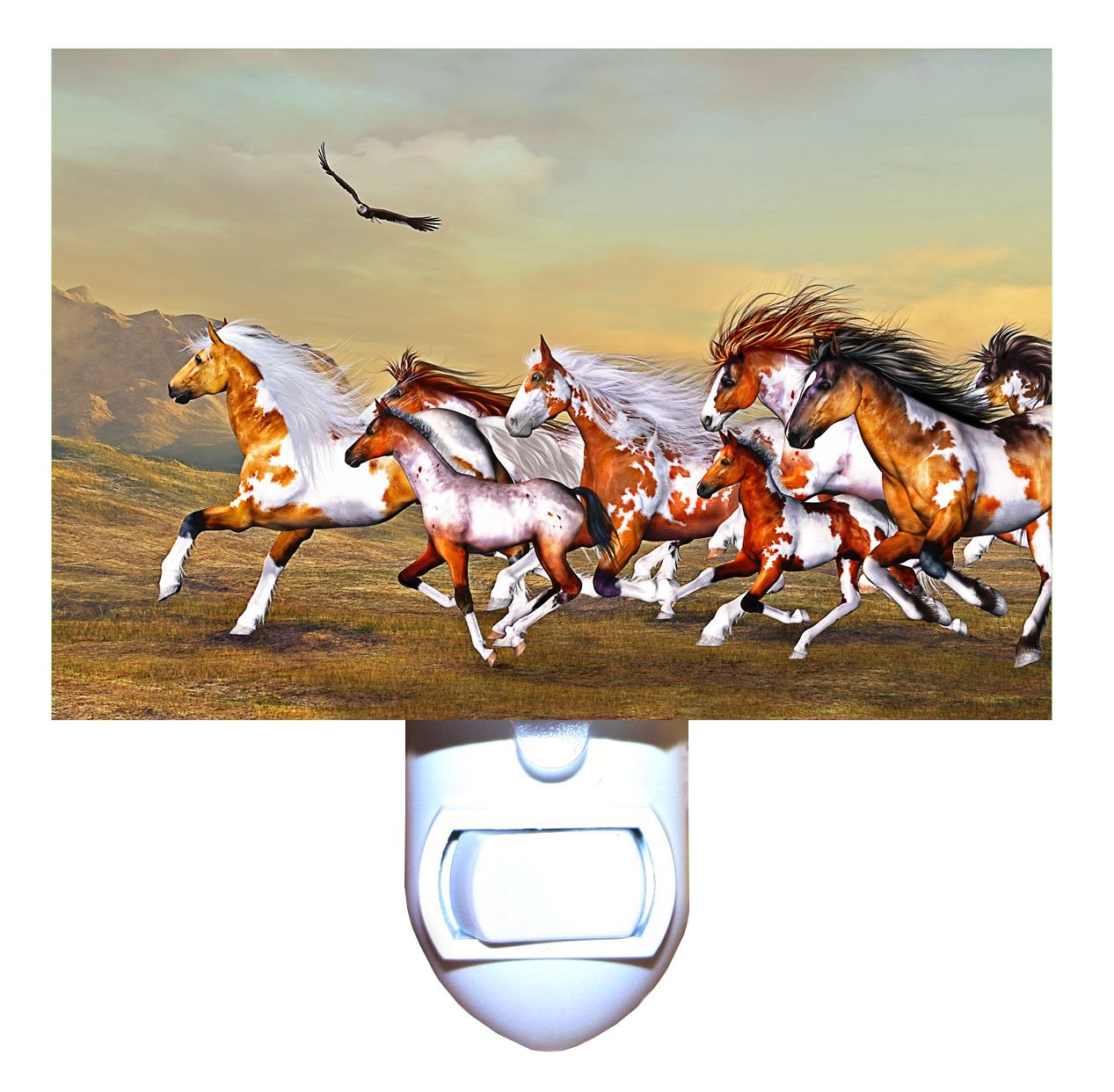 Wild Running Horses Decorative Night Light - Amazon.com